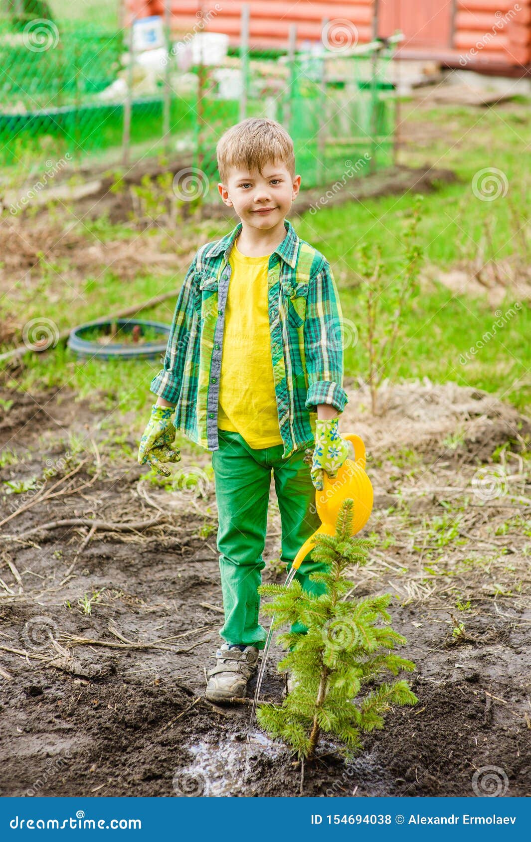 Junge, Der Den Gepflanzten Baum W?ssert Stockfoto - Bild von masse ...