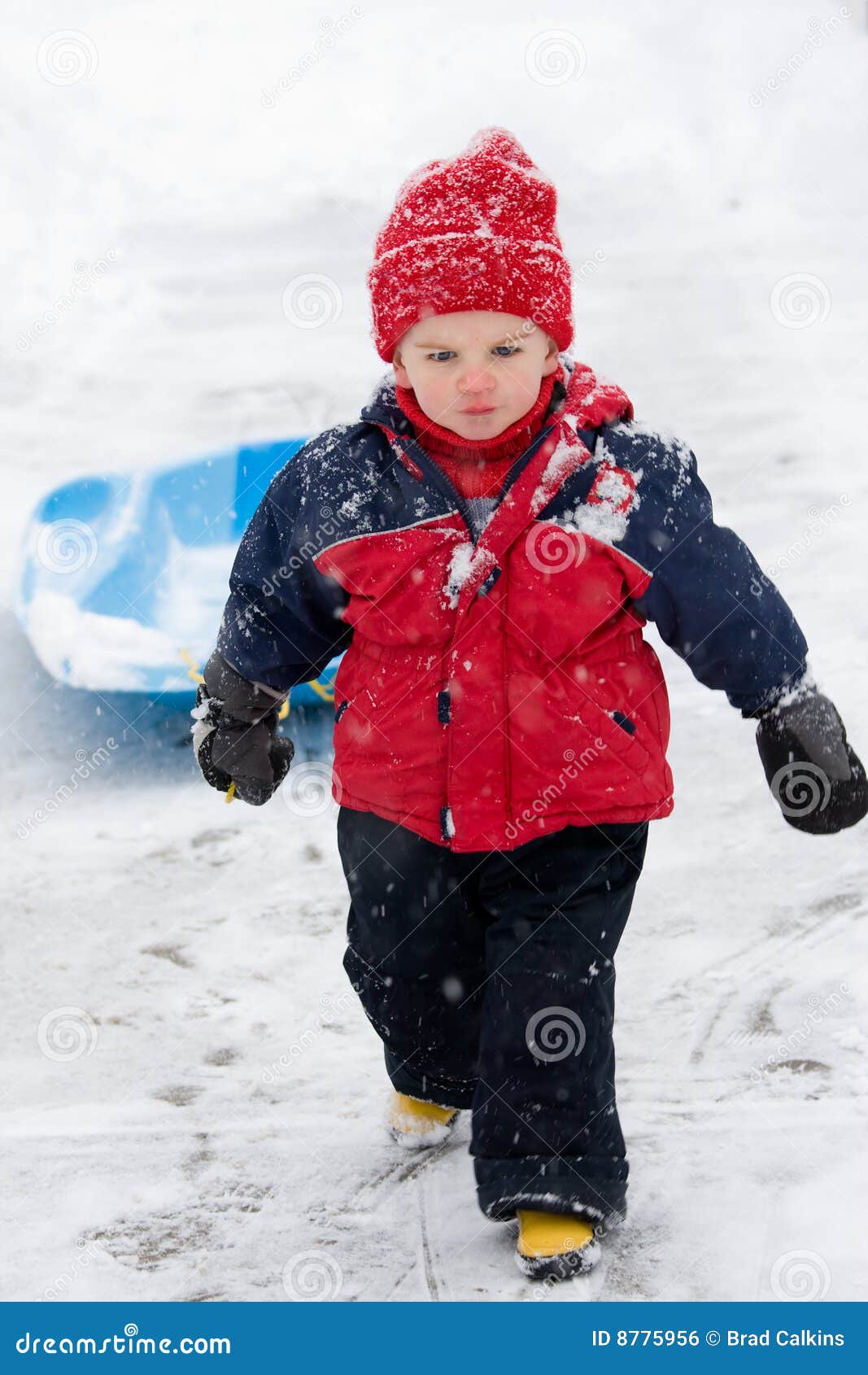 Junge, der Schlitten zieht stockfoto. Bild von person - 8775956
