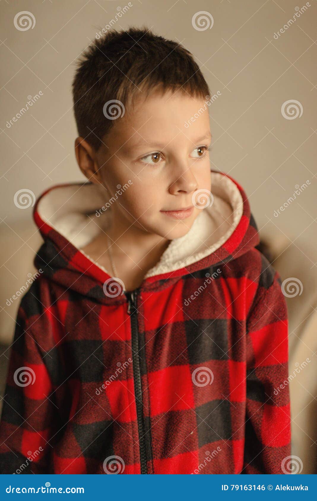 Junge in Einer Roten Jacke Mit Einer Haube Stockfoto - Bild von gefühl ...