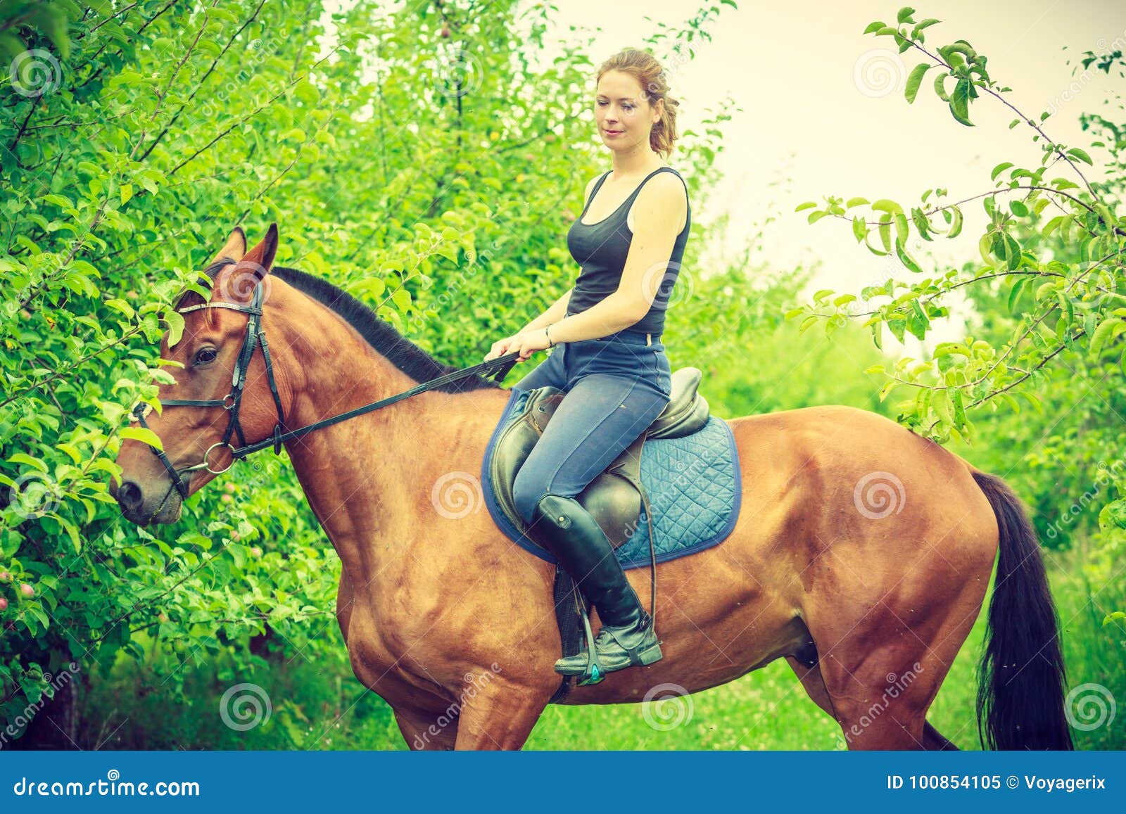 Junge Frau, Die Auf Einem Pferd Sitzt Stockbild - Bild von bauernhof ...