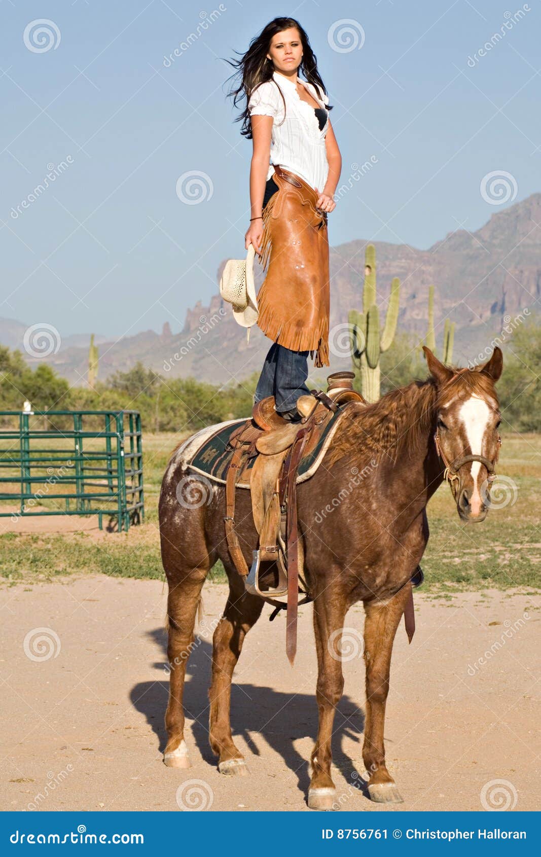 Junge Frau, Die Auf Ihrem Pferd Steht Stockbild - Bild von kaktus ...