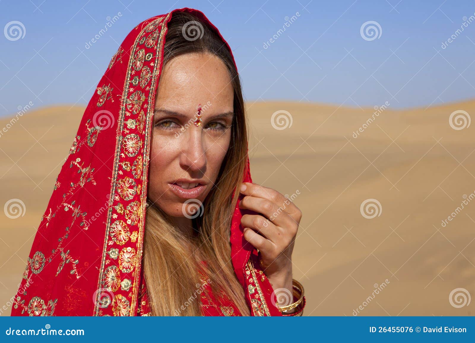 Junge Frau, Die Eine Sari Trägt Stockfoto - Bild von braut, strand ...