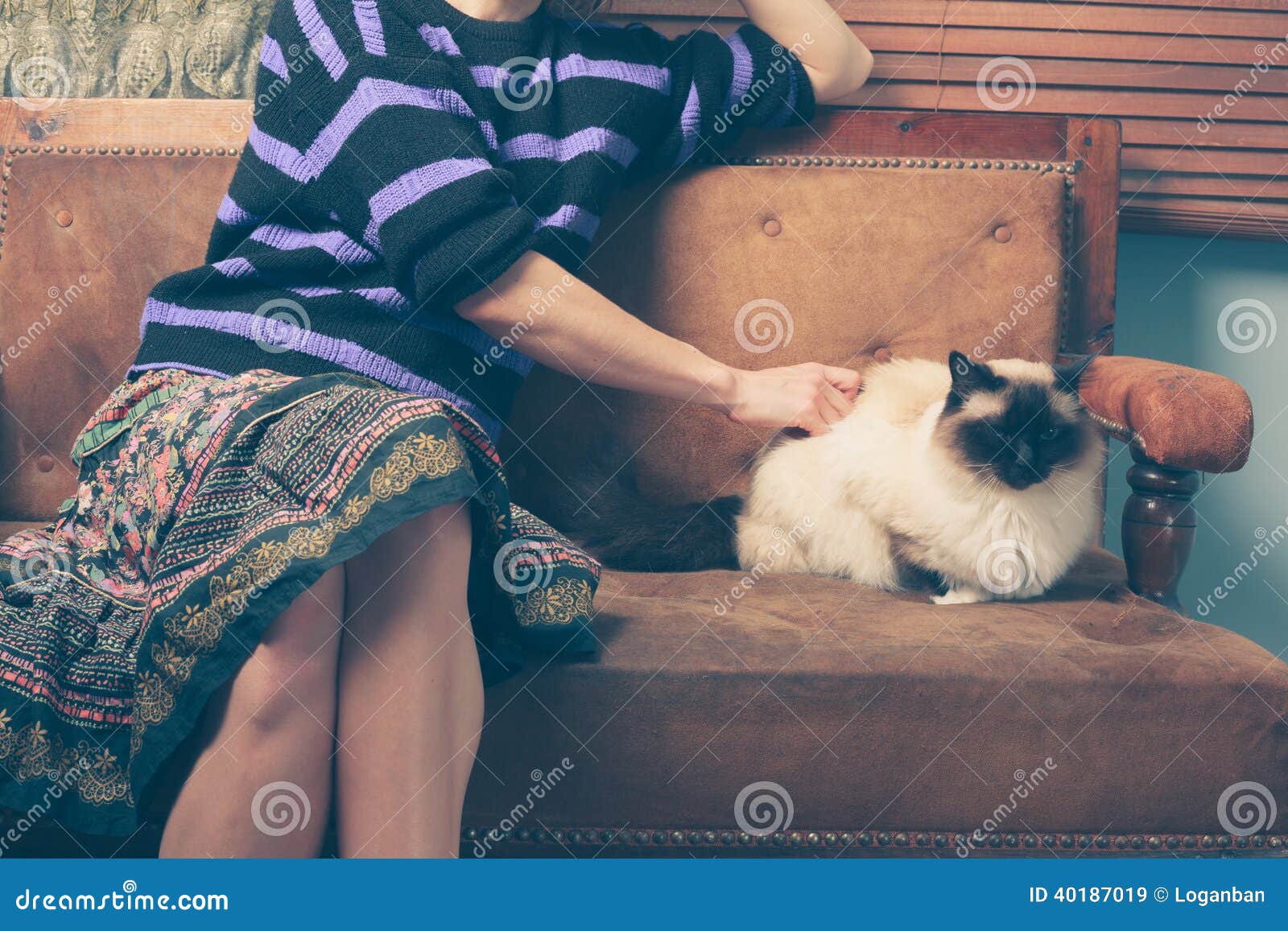 Junge Frau Und Katze Auf Sofa Stockbild - Bild von entzückend ...