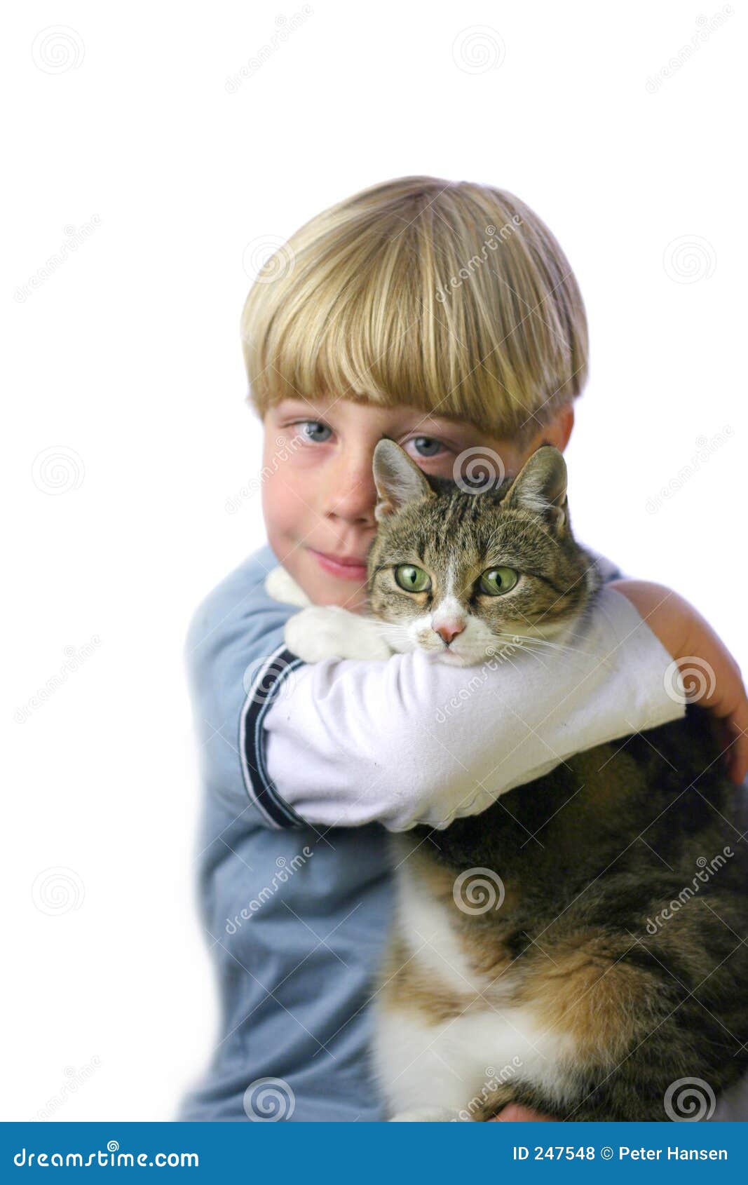 Junge mit Katze stockfoto. Bild von haustier, gehilfe, junge - 247548
