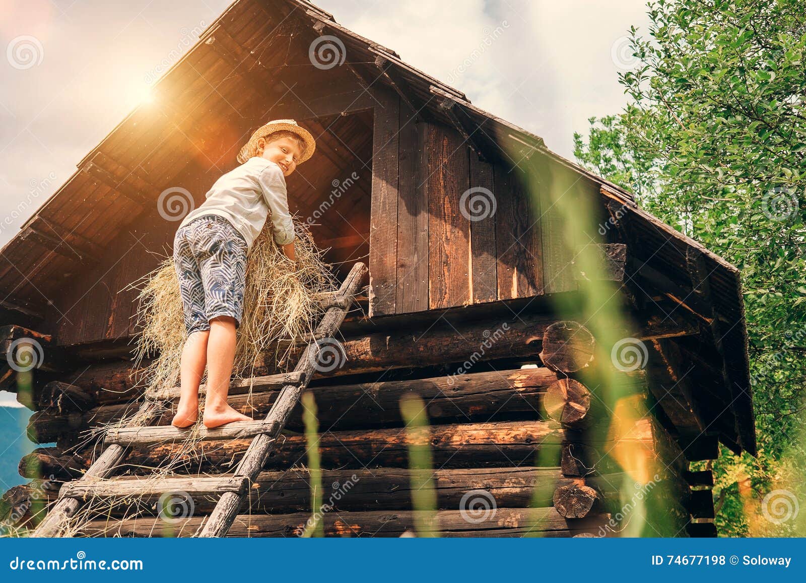 Junge Setzt Das Heu in Hayloft Ein Stockfoto - Bild von öko, aktiv ...