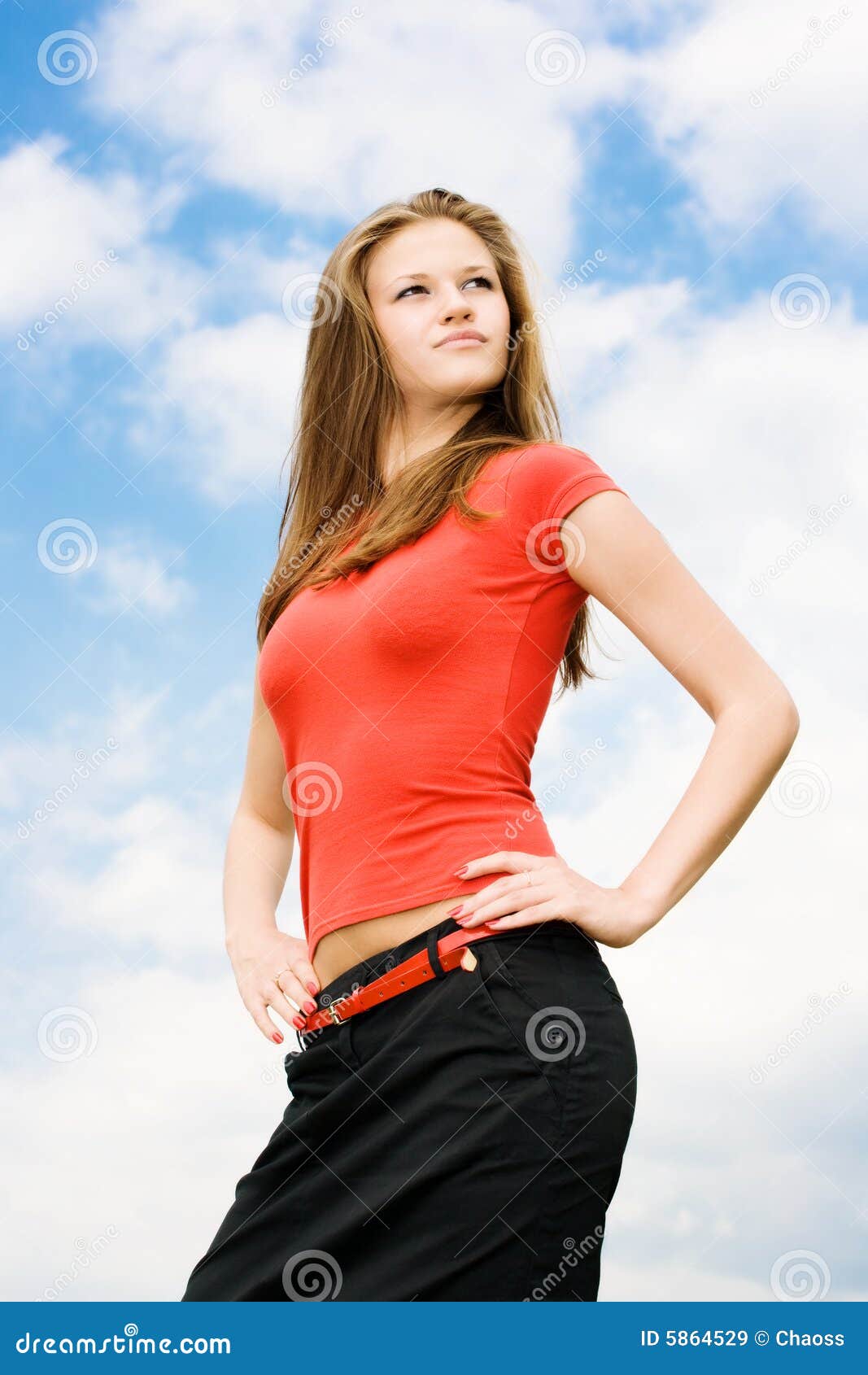 Junge stolze Frau stockbild. Bild von eleganz, kaukasisch - 5864529