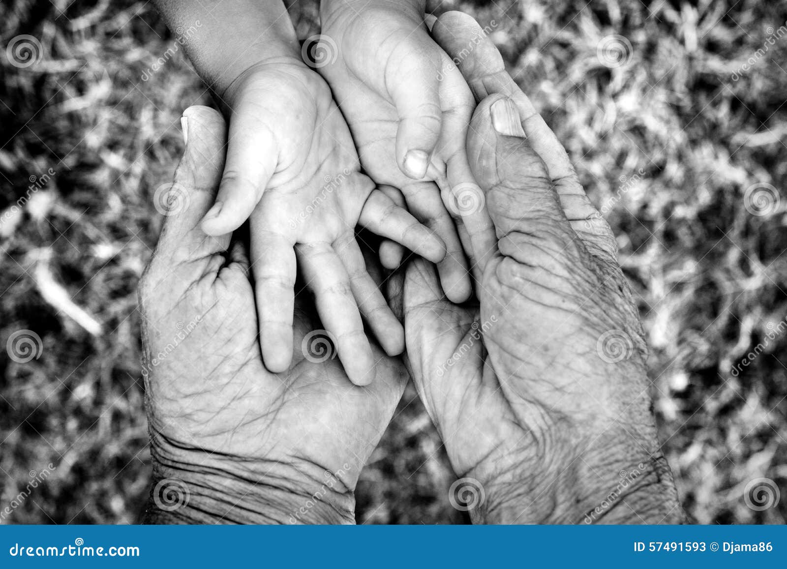 Junge und alte Hände stockbild. Bild von feinschmecker - 57491593
