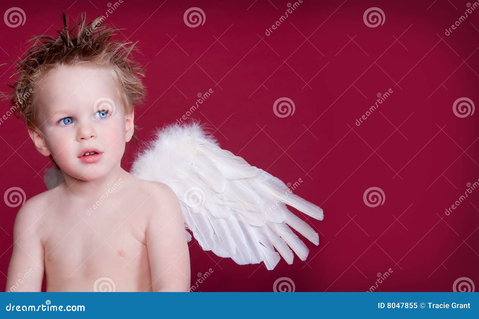 Jungen-Engel stockbild. Bild von plazierung, romantisch - 8047855