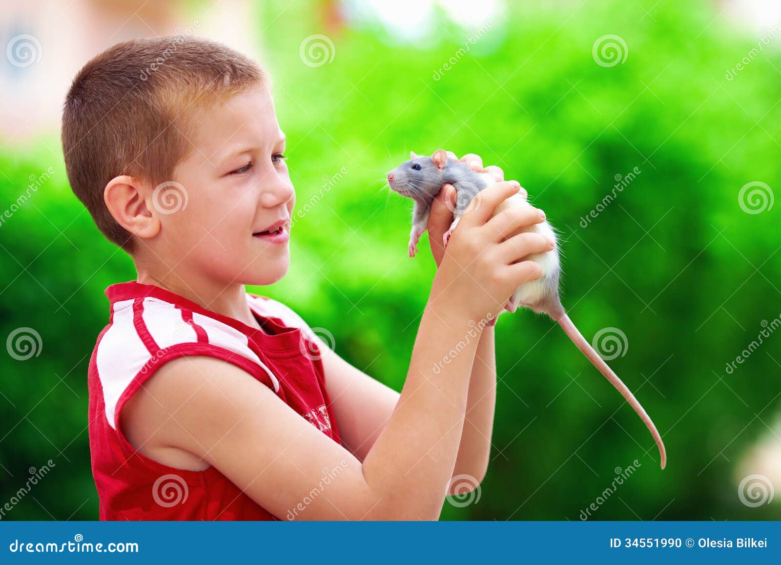 Jungenkind, Das Mit Rattenhaustier Spielt Stockfoto - Bild von nett ...