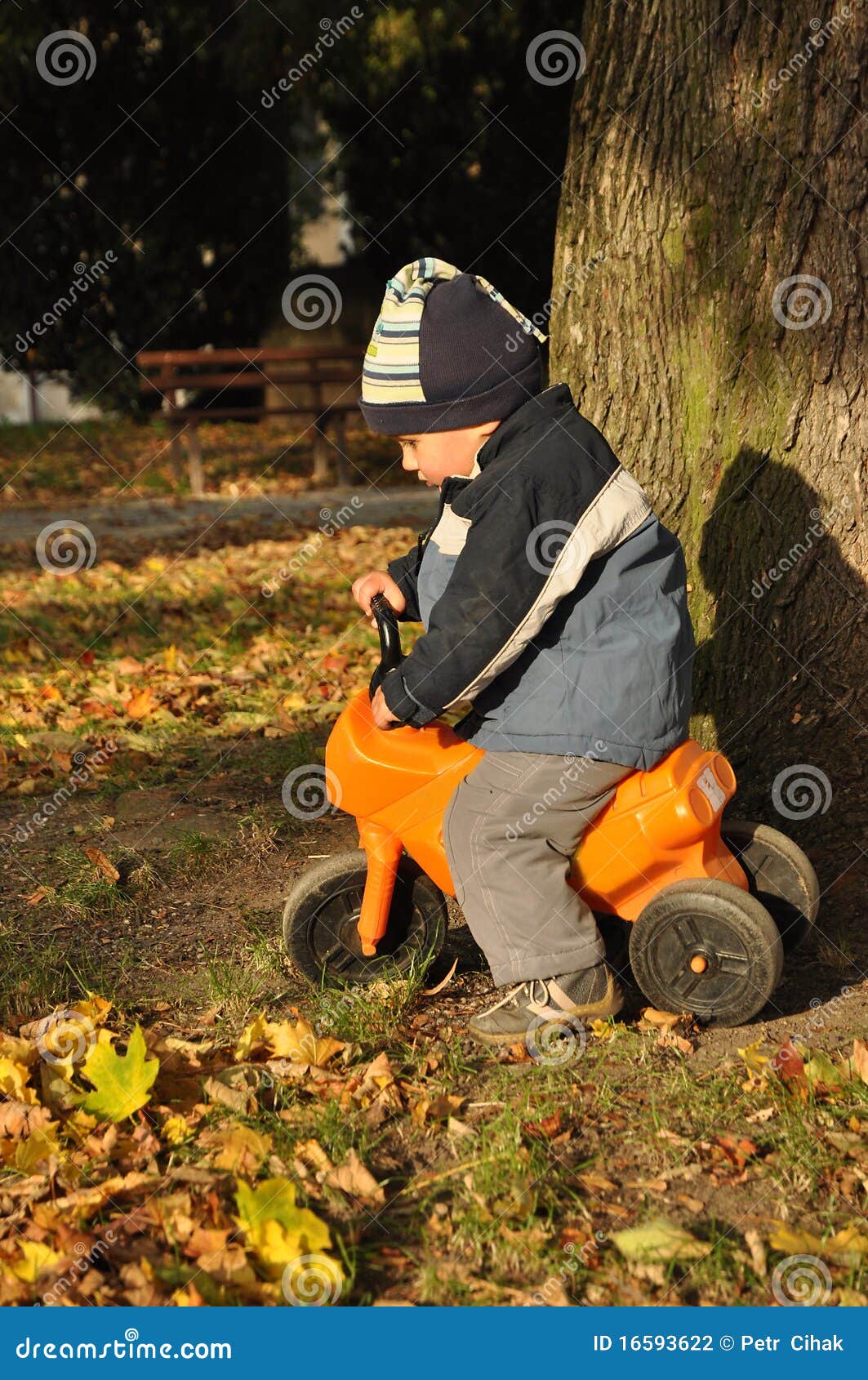 Fotos des Modells aus dem Bild mit der ID 16593622 von Petr Cihak (Petin)