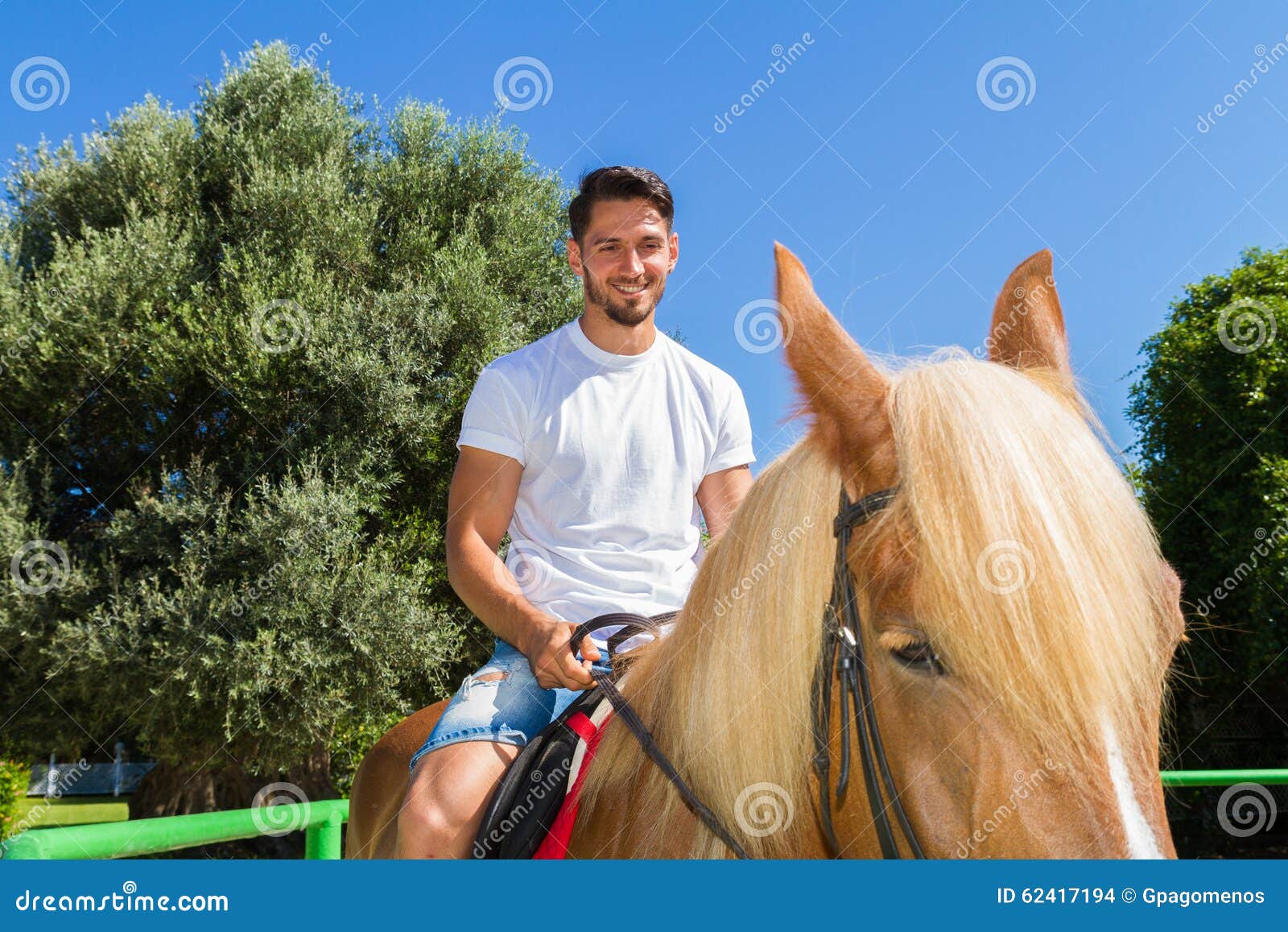 Junger Mann Auf Einem Braun-blonden Pferd Im Reiten Stockfoto - Bild ...