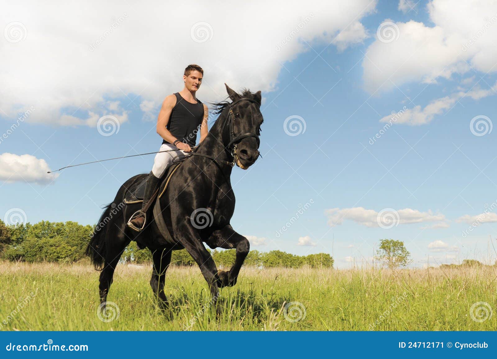 Junger Mann und Pferd stockbild. Bild von sport, reiter - 24712171