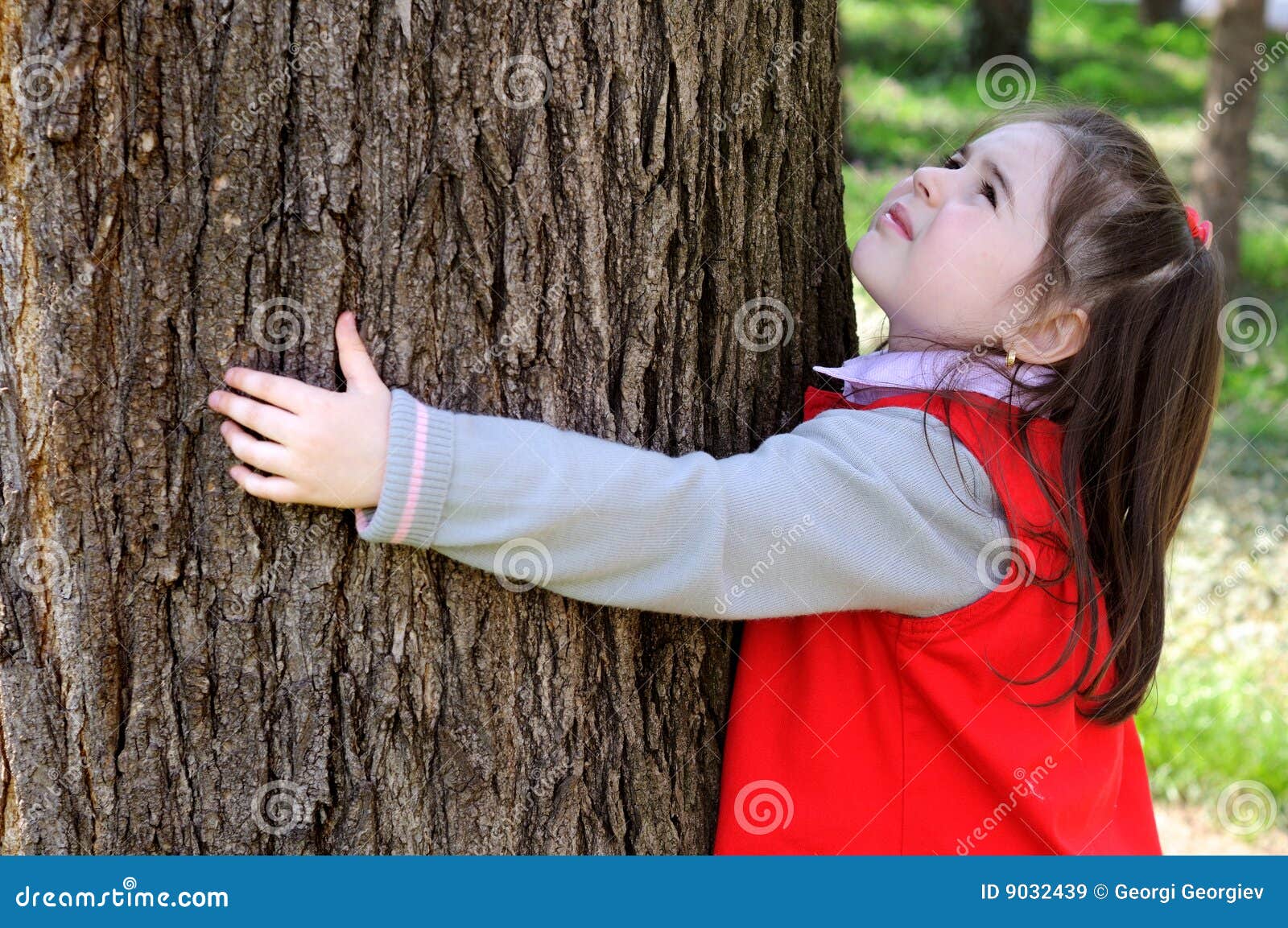 Junges Kind, Das Einen Baum Umarmt. Stockbild - Bild von wachsen, grün ...