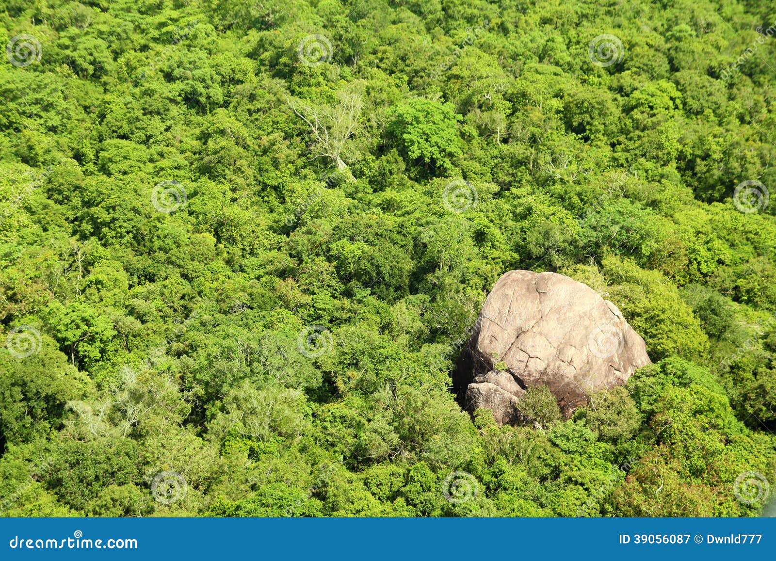 Jungle aerial view stock image. Image of scenic, park - 39056087