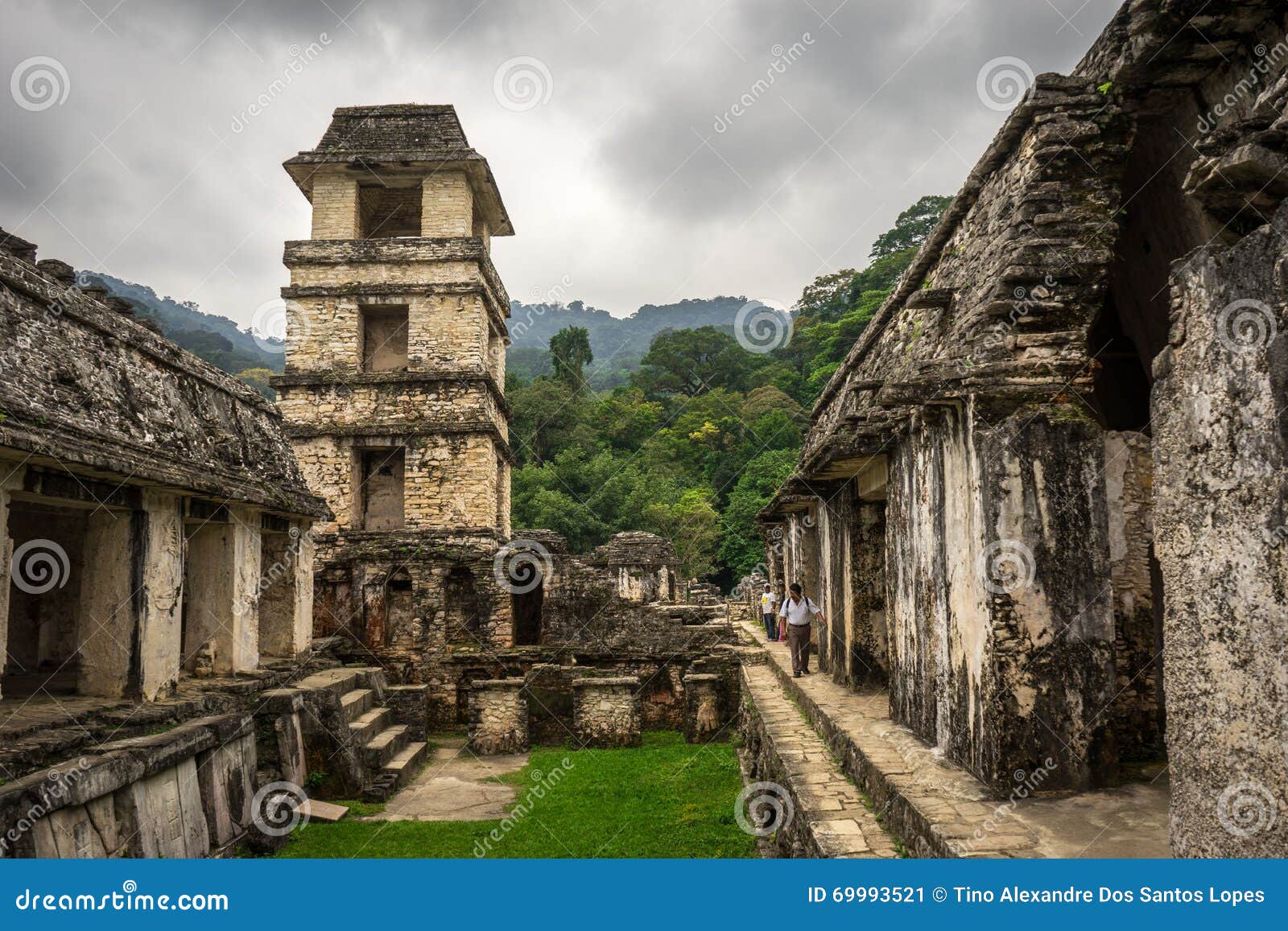 Jungle Architecture stock image. Image of home, alone - 69993521