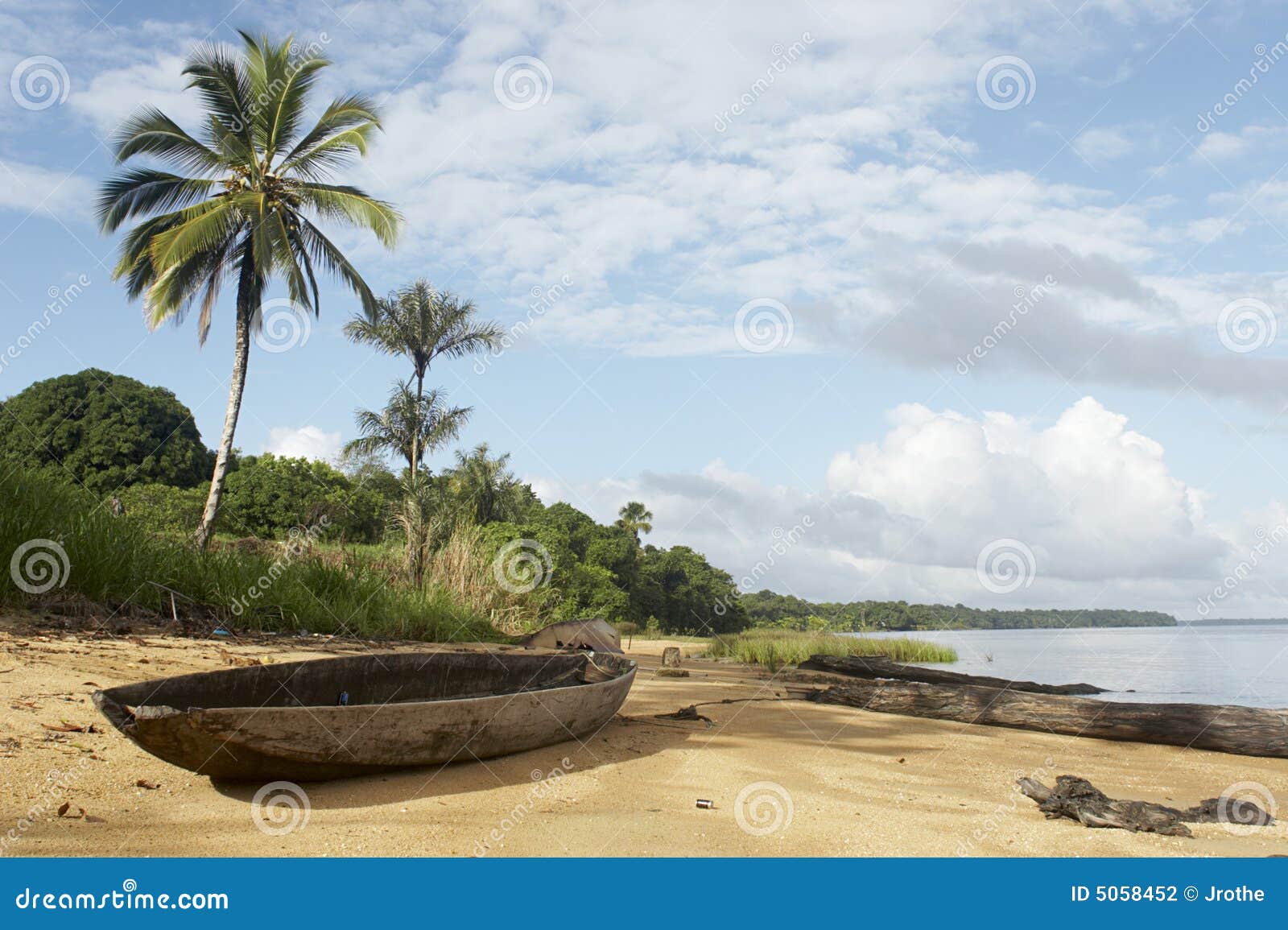 Jungle Beach stock photo. Image of america, suriname, sand - 5058452