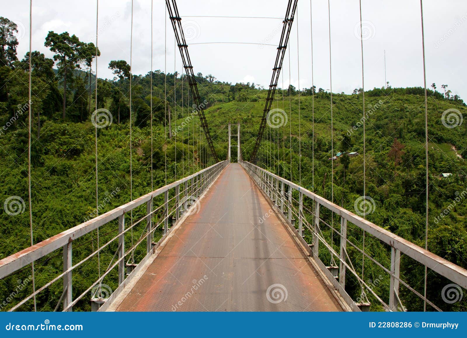 Jungle Bridge stock photo. Image of adventure, southeast - 22808286