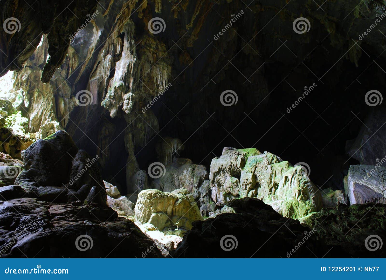 Jungle cave stock image. Image of mysterious, labyrinth - 12254201