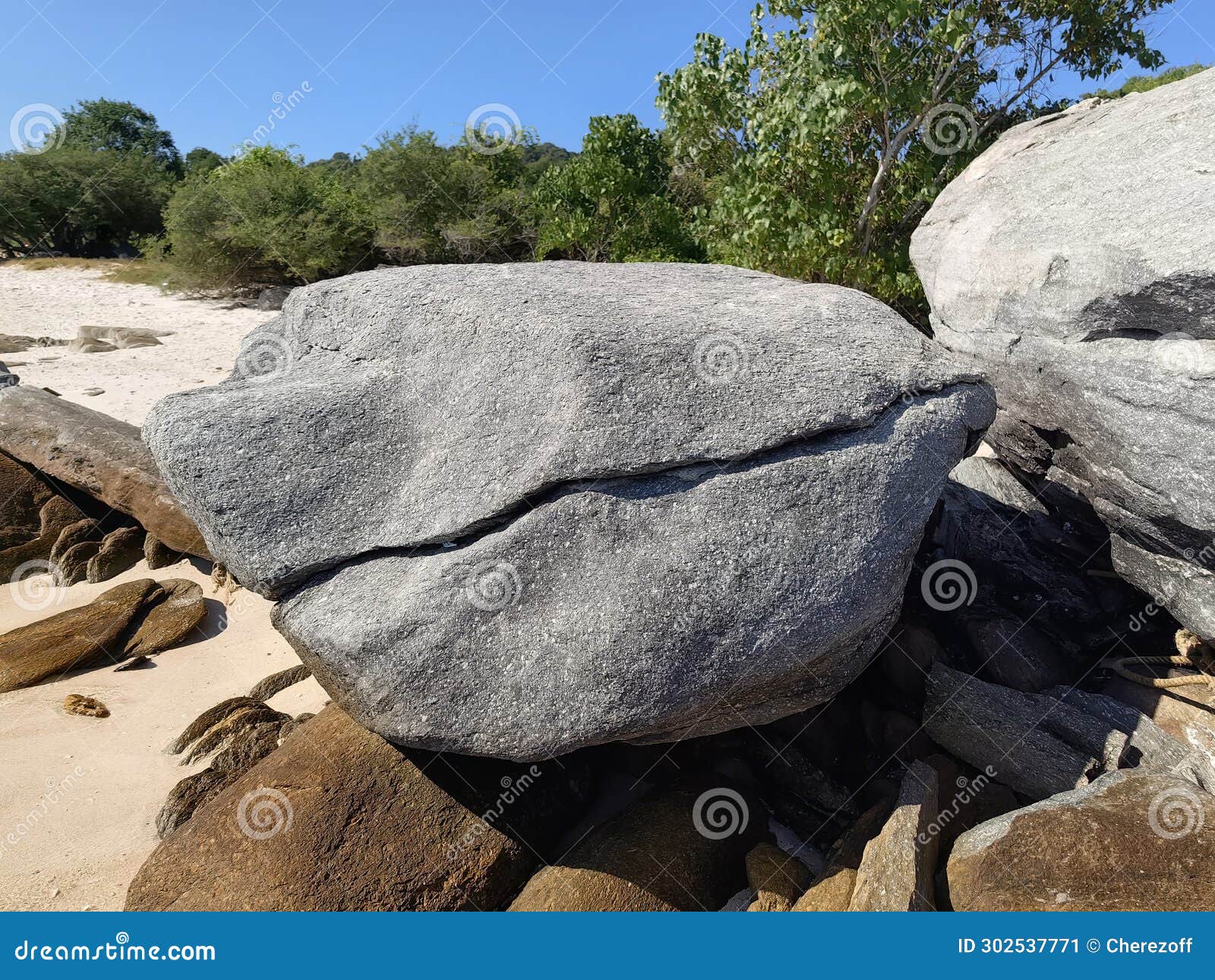 In the Jungle during the Day Stock Image - Image of vacation, urban ...