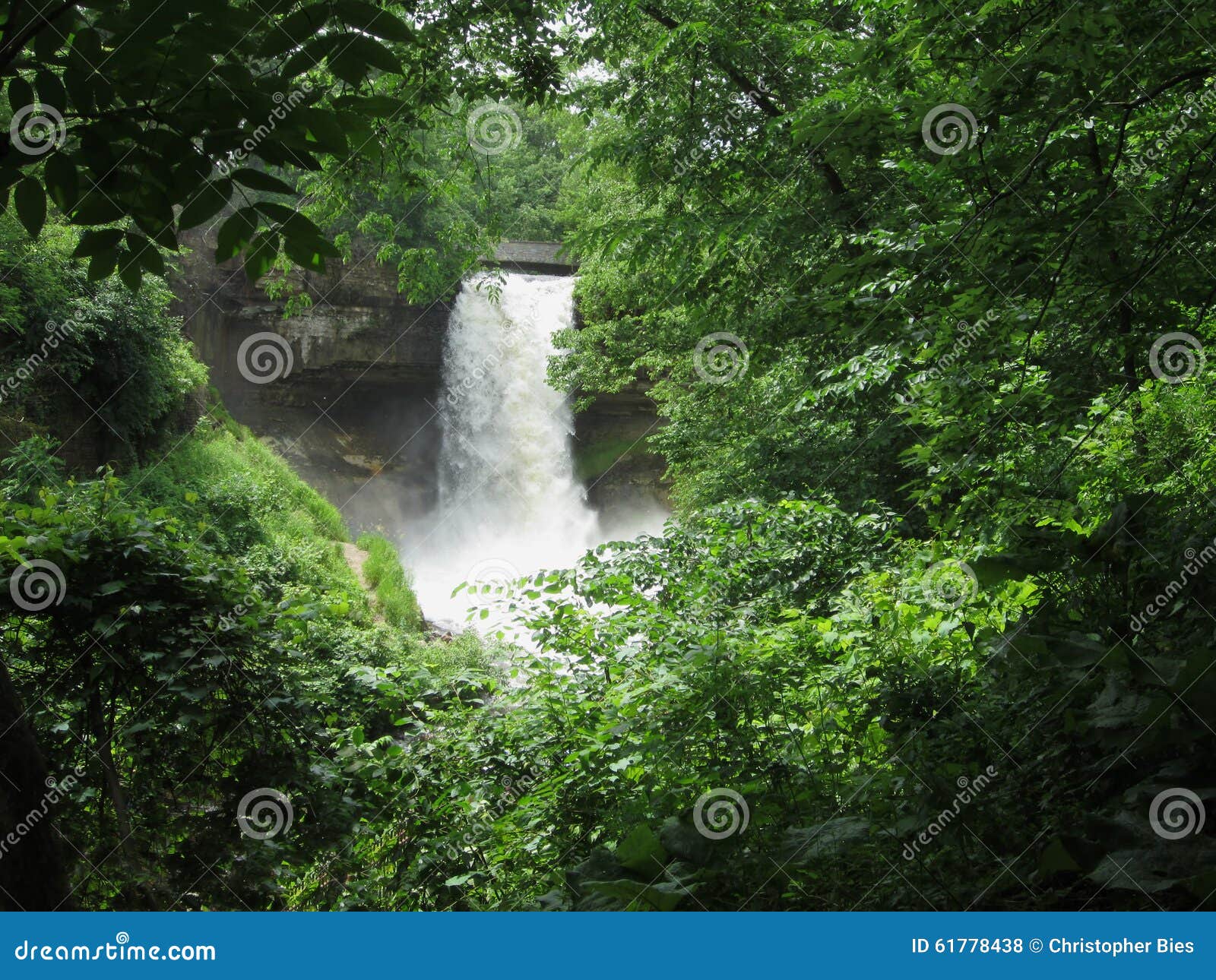 Jungle Falls stock photo. Image of jungle, branches, trees - 61778438
