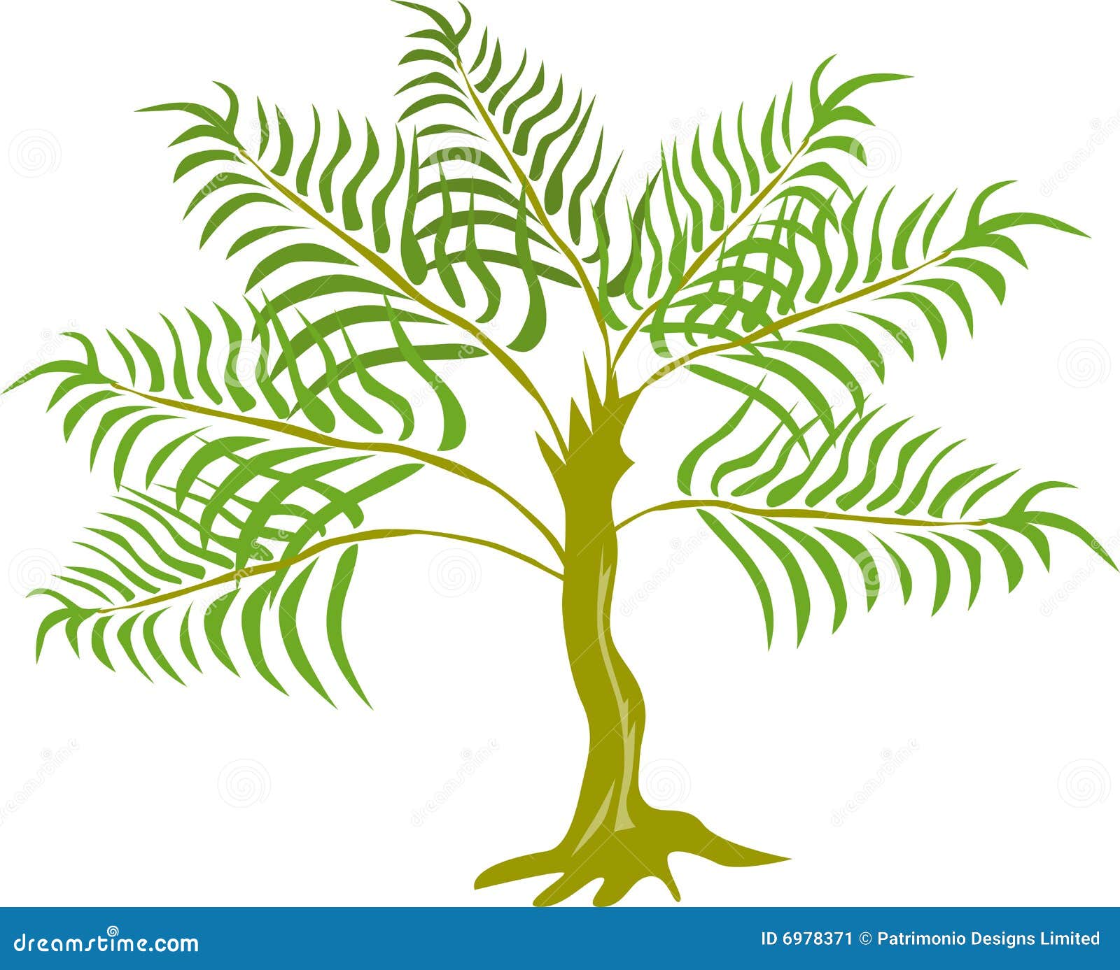 Jungle Fern Tree Plant Stock Illustrations – 9,540 Jungle Fern Tree ...