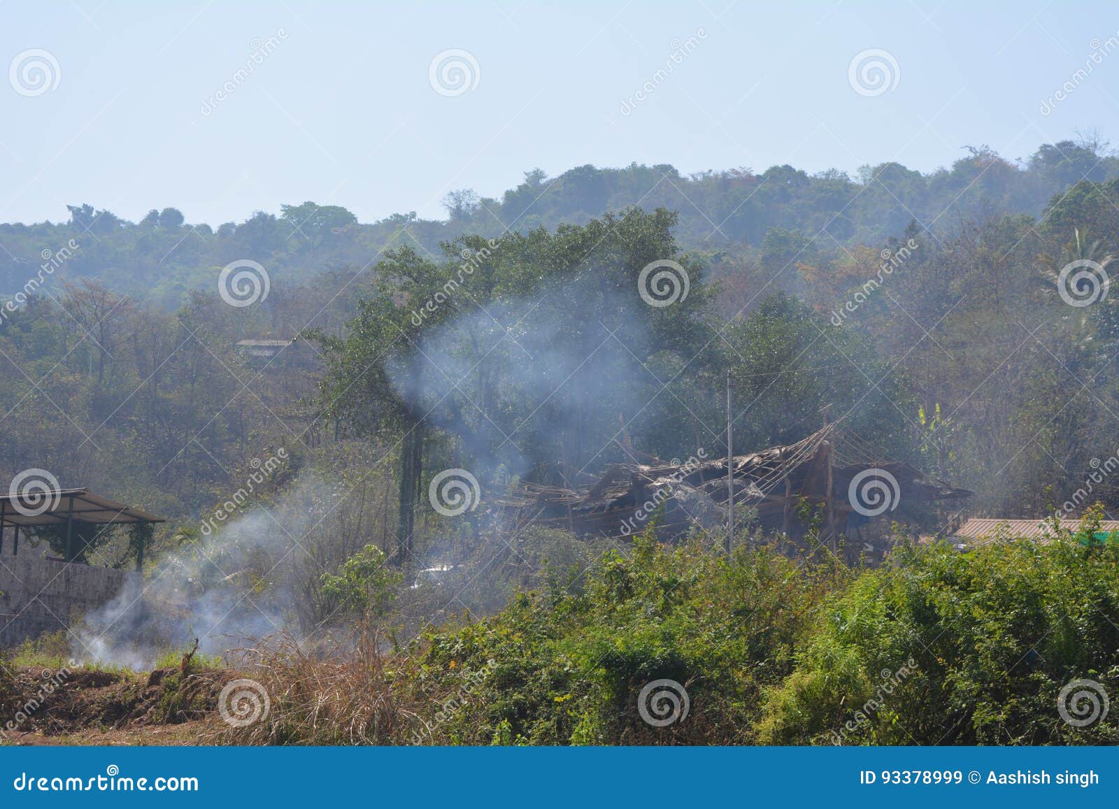 Jungle Fire Royalty-Free Stock Photo | CartoonDealer.com #93378999