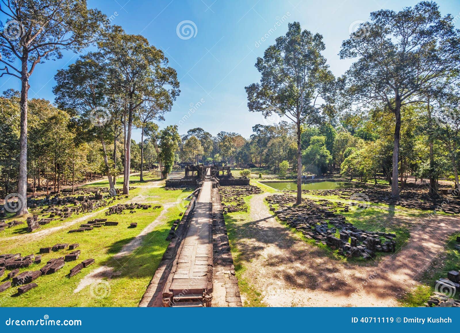Jungle Forest at Angkor Wat Area Stock Image - Image of ruin ...