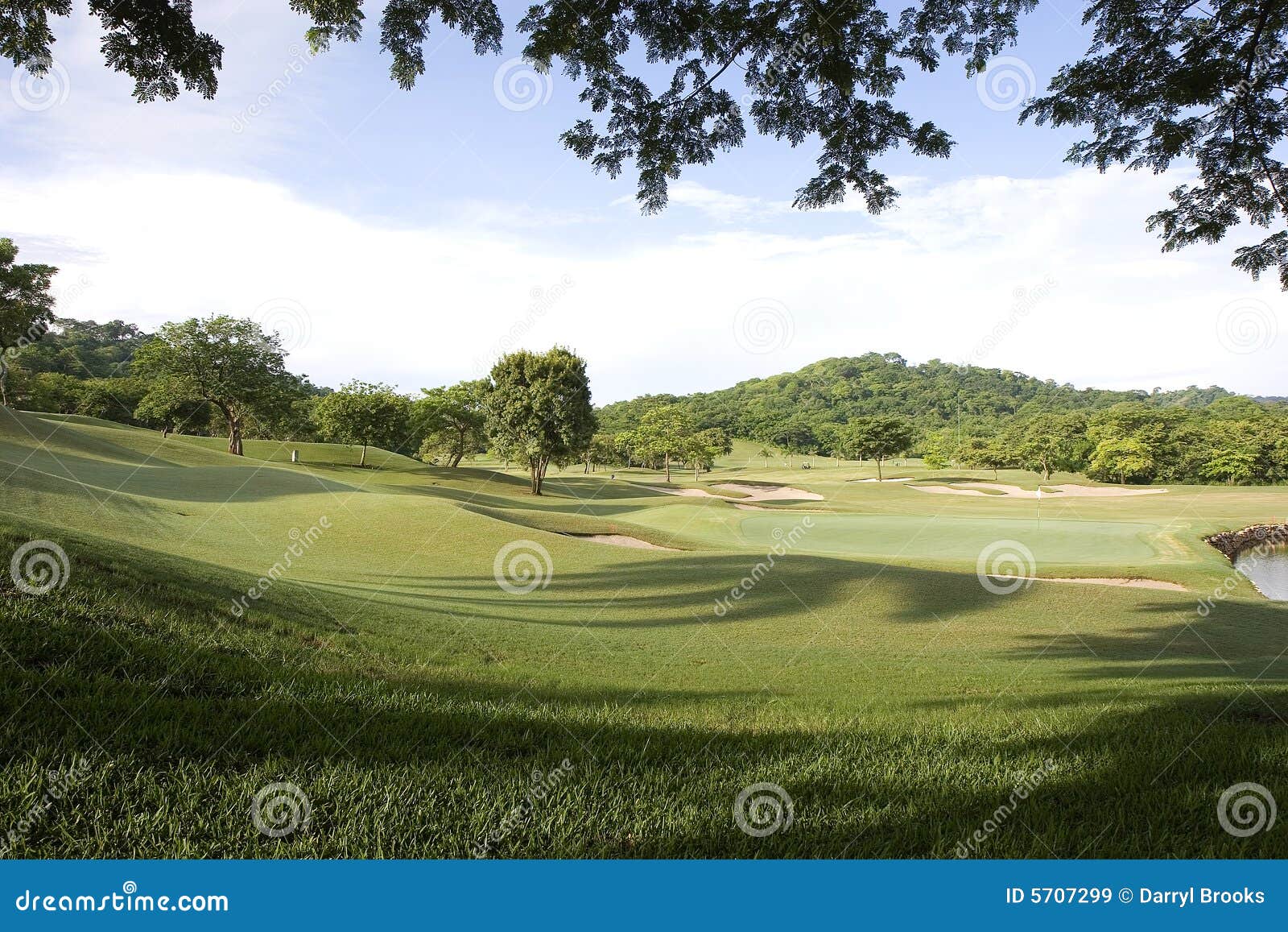 Jungle Golf Course stock image. Image of play, drive, green - 5707299