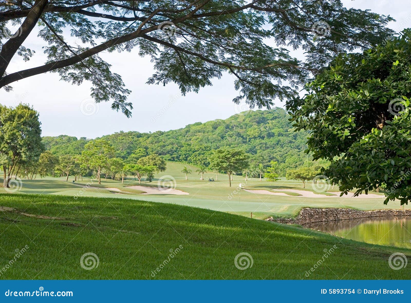 Jungle Golf Course From Trees Picture. Image: 5893754