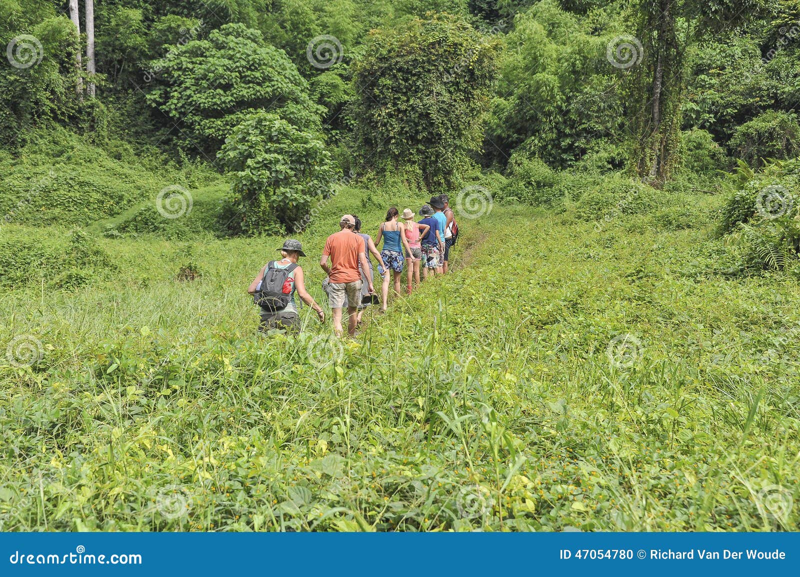 Jungle hike editorial image. Image of rugged, rainforest - 47054780