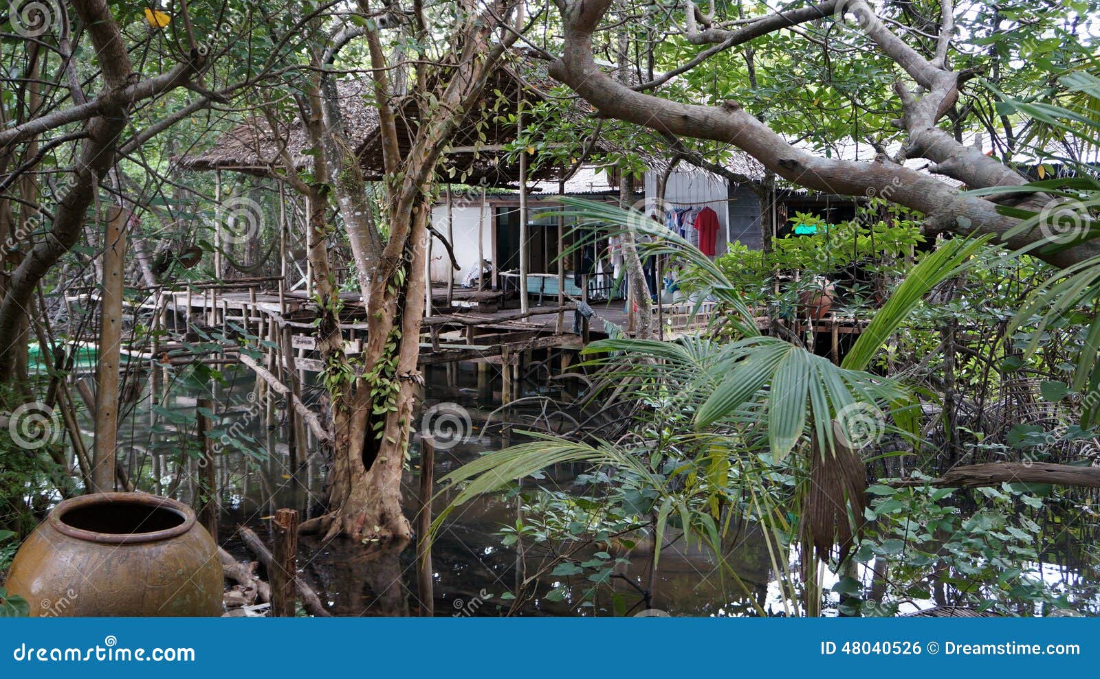 Jungle house stock photo. Image of swamp, music, house - 48040526