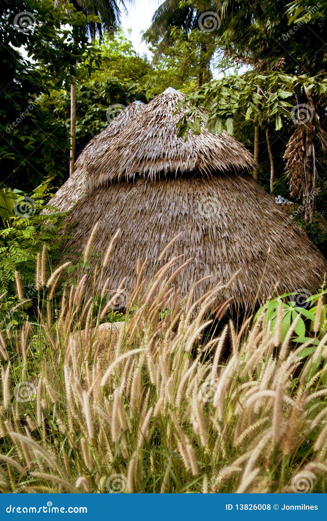 Jungle hut stock photo. Image of cheap, lifestyle, thai - 13826008
