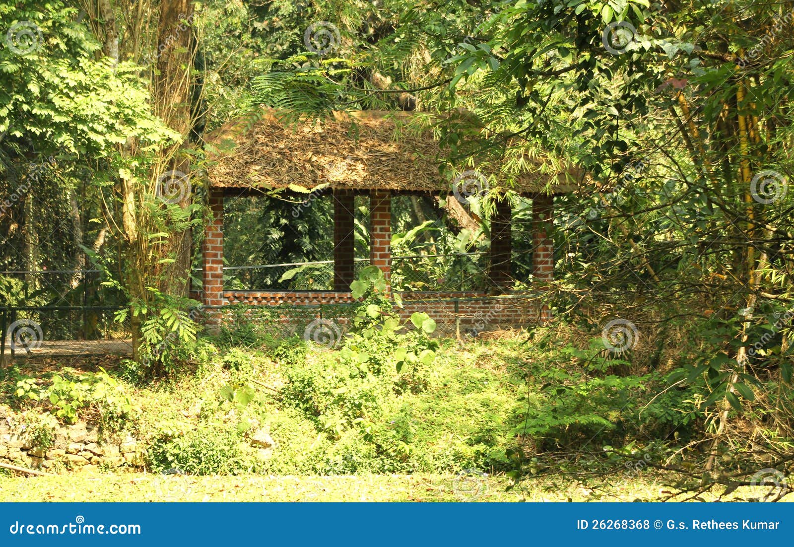 Jungle hut stock photo. Image of travel, rainforest, jungle - 26268368