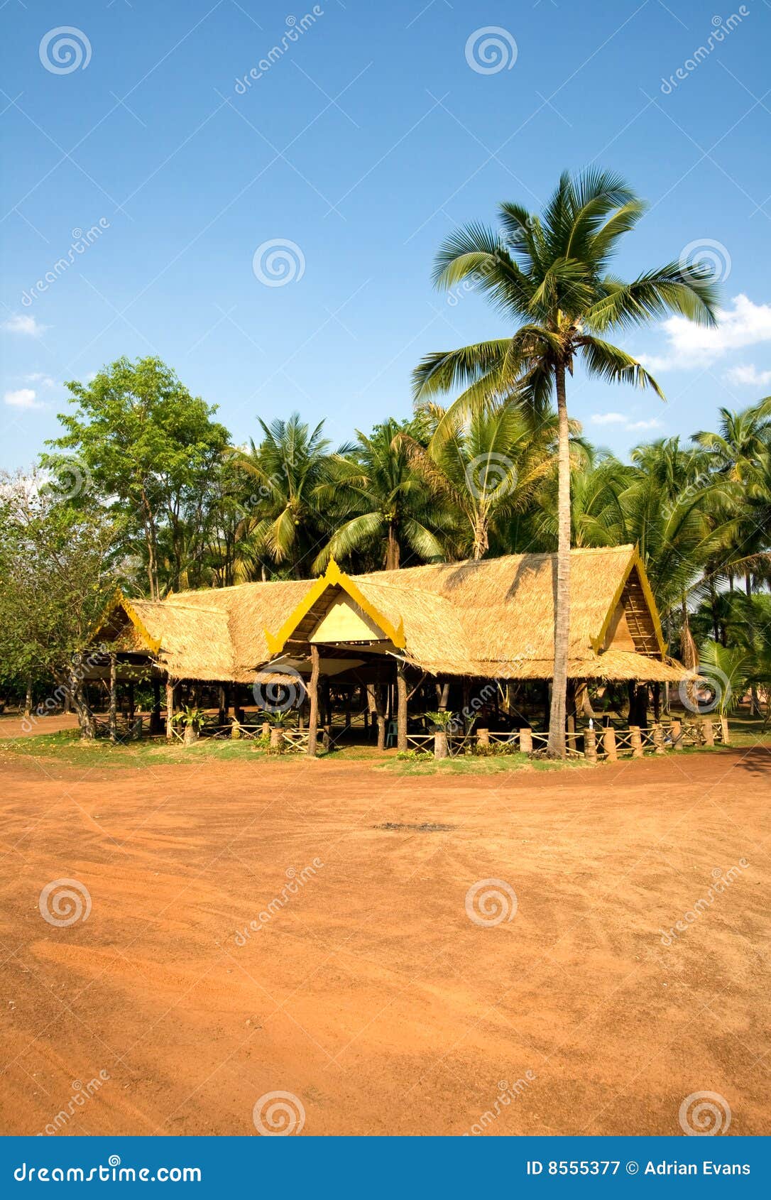 Jungle hut stock image. Image of jungle, outdoors, resort - 8555377