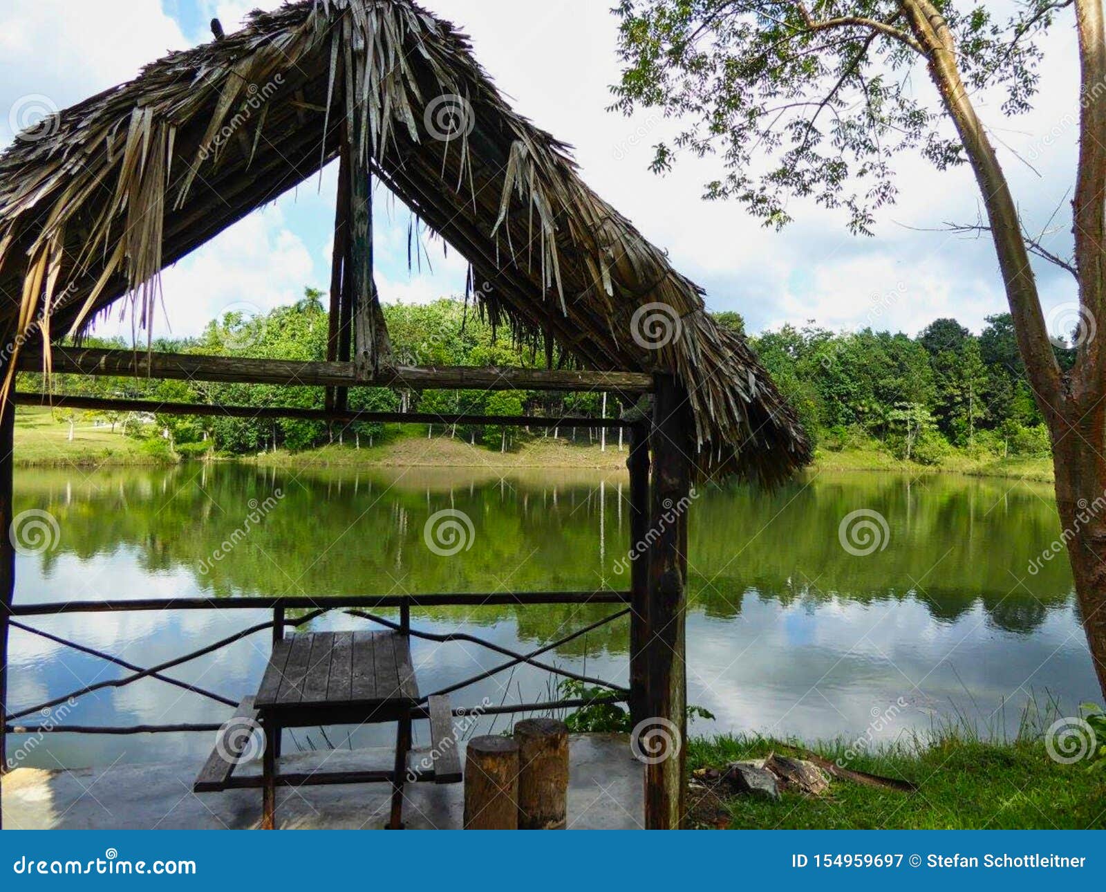 A jungle hut on a pond stock image. Image of scandinavian - 154959697