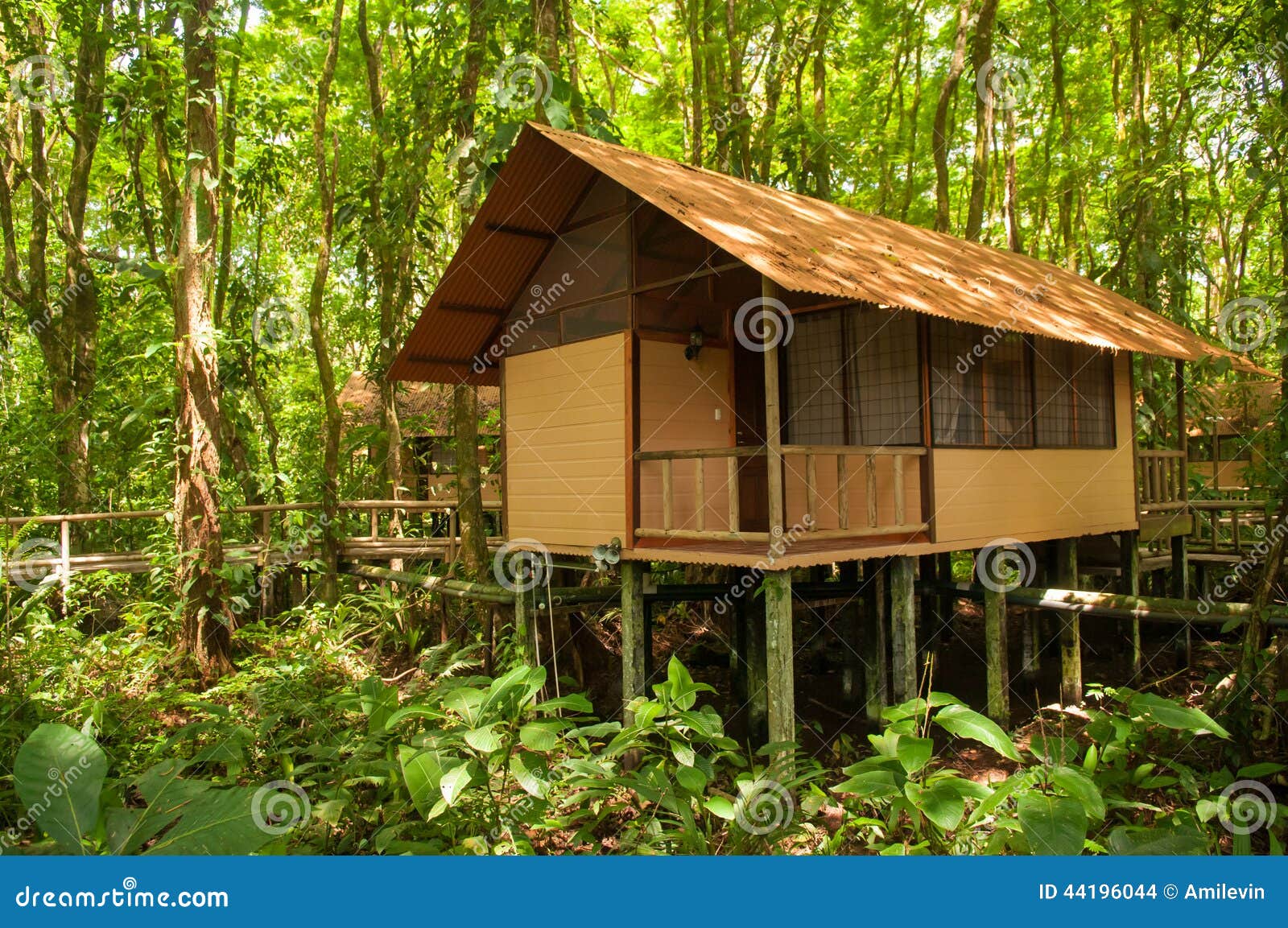 Jungle hut stock photo. Image of porch, rainforest, green - 44196044