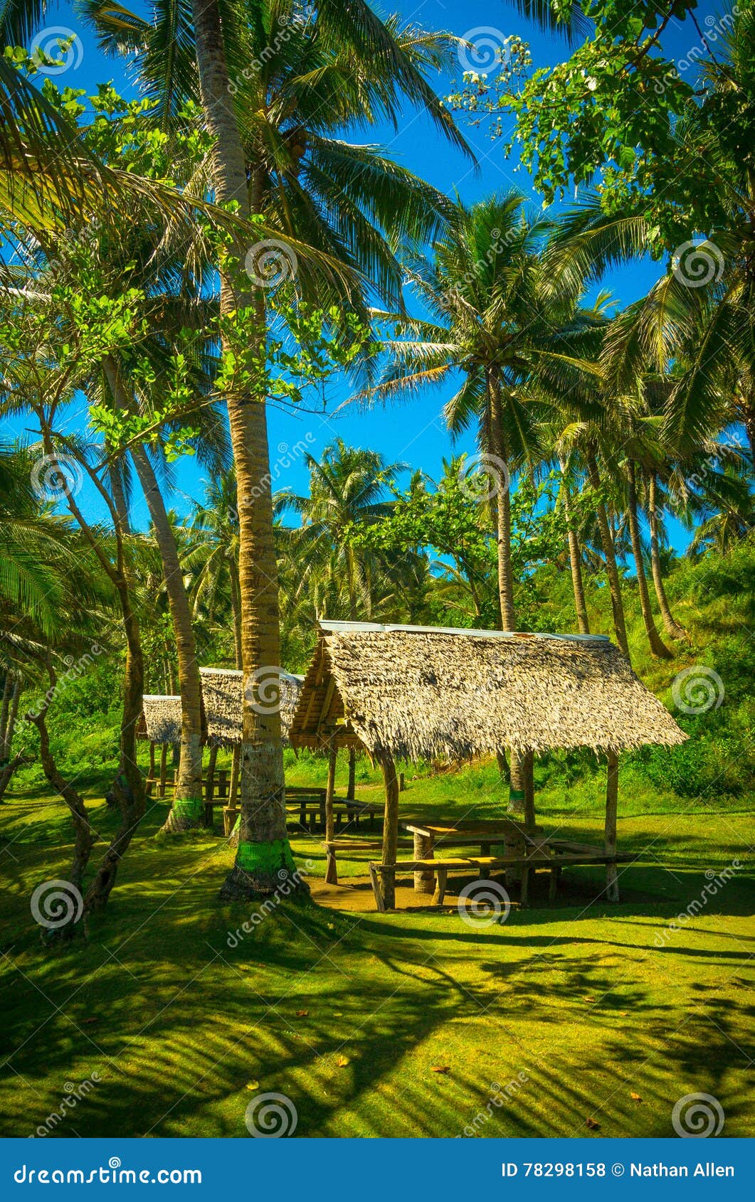 Jungle Huts Made of Nipa stock photo. Image of resort - 78298158