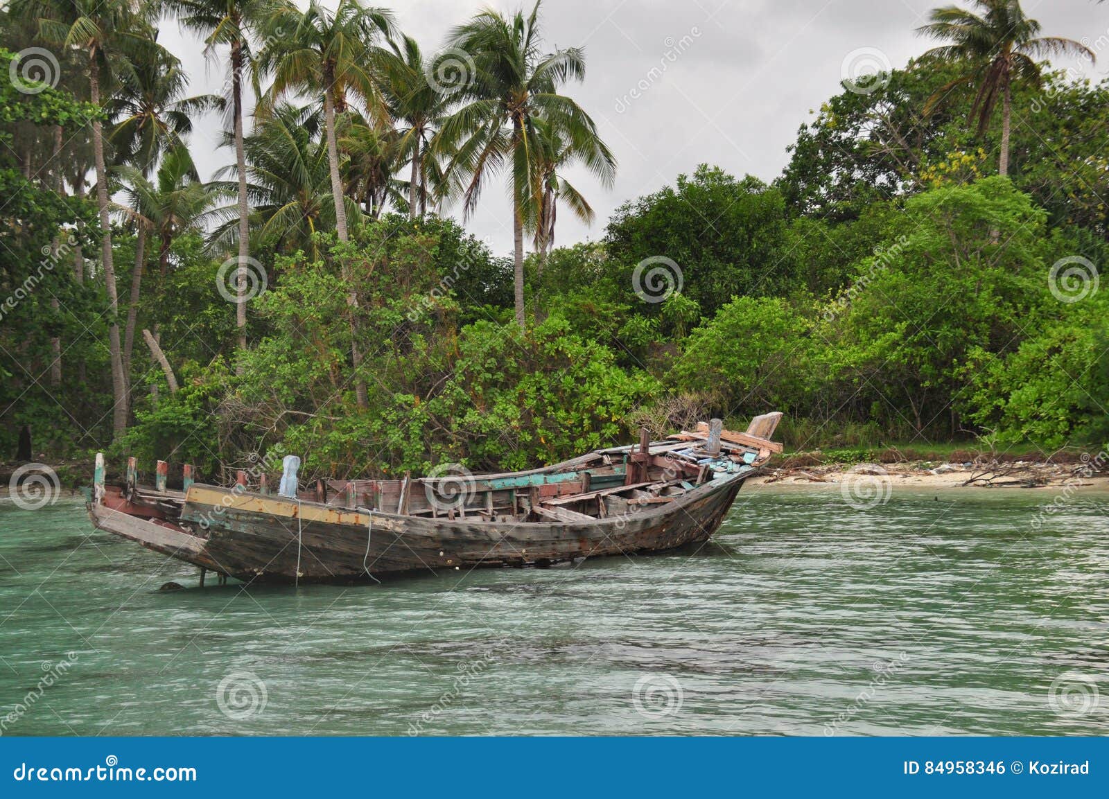 The Jungle In Indonesia. Java. The Tree Ferns And Palm Trees On The ...