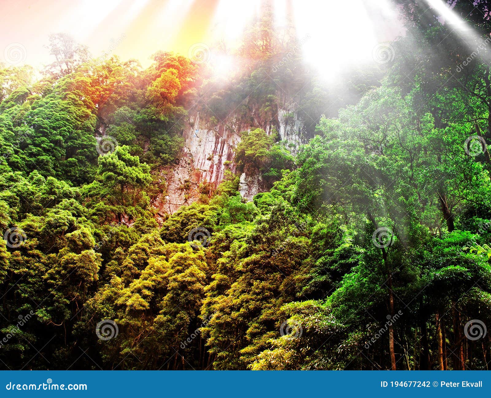 Jungle Landscape in the Azores with Trees and Cliffs Stock Photo ...