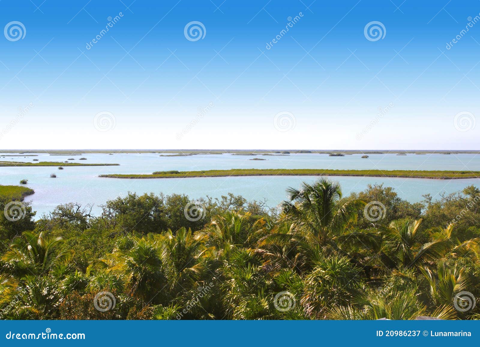 Lagoon And Palm Trees At Josone Park - Parque Josone Varadero Cuba ...