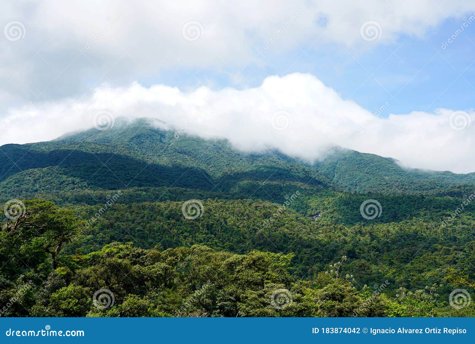 Jungle Mountain Landscape View with Mist on the Summit Stock Photo ...