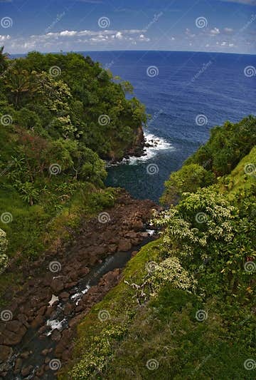 Jungle and ocean of Hawaii stock image. Image of corners - 6118717