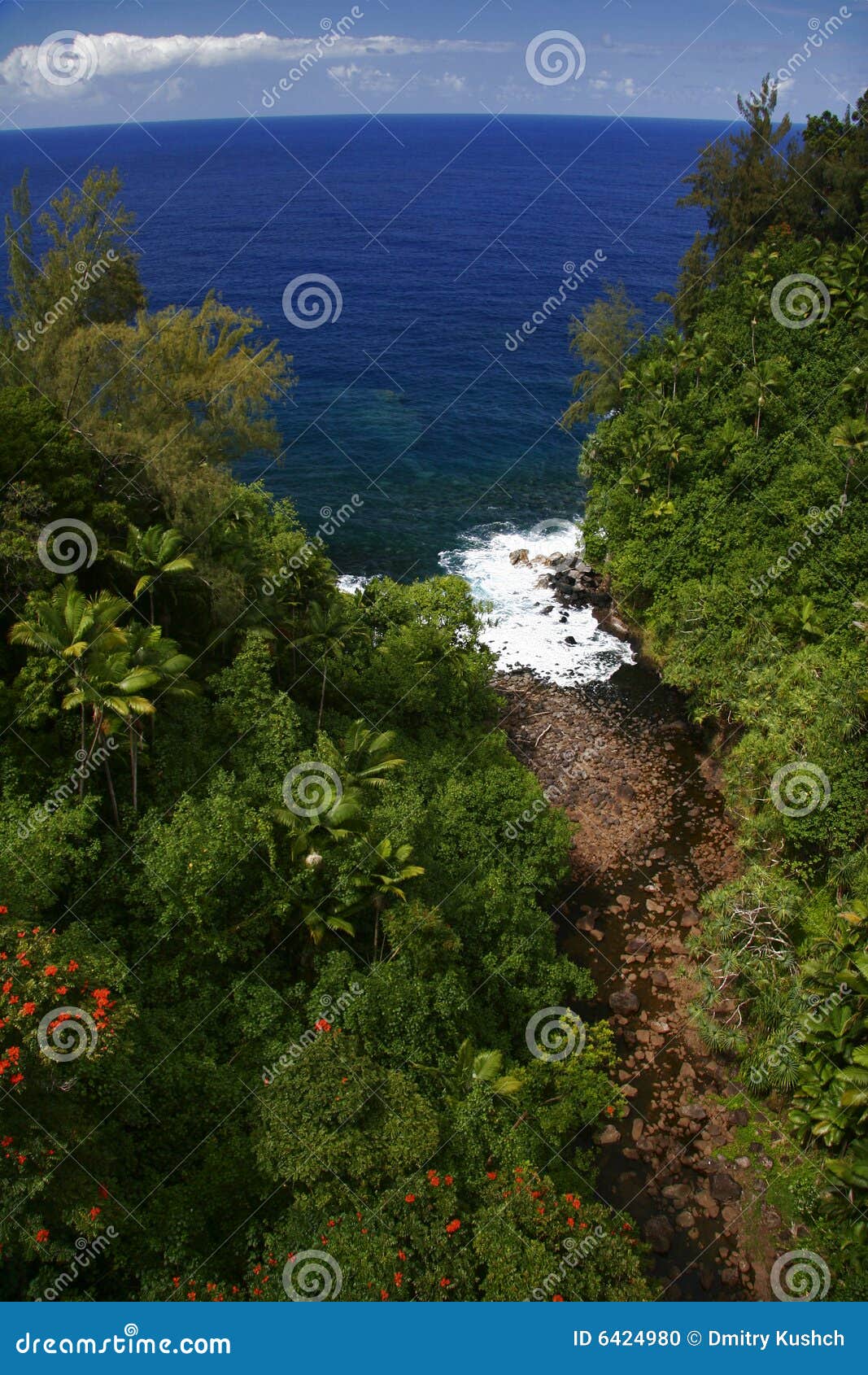Jungle and ocean of Hawaii stock photo. Image of destination - 6424980