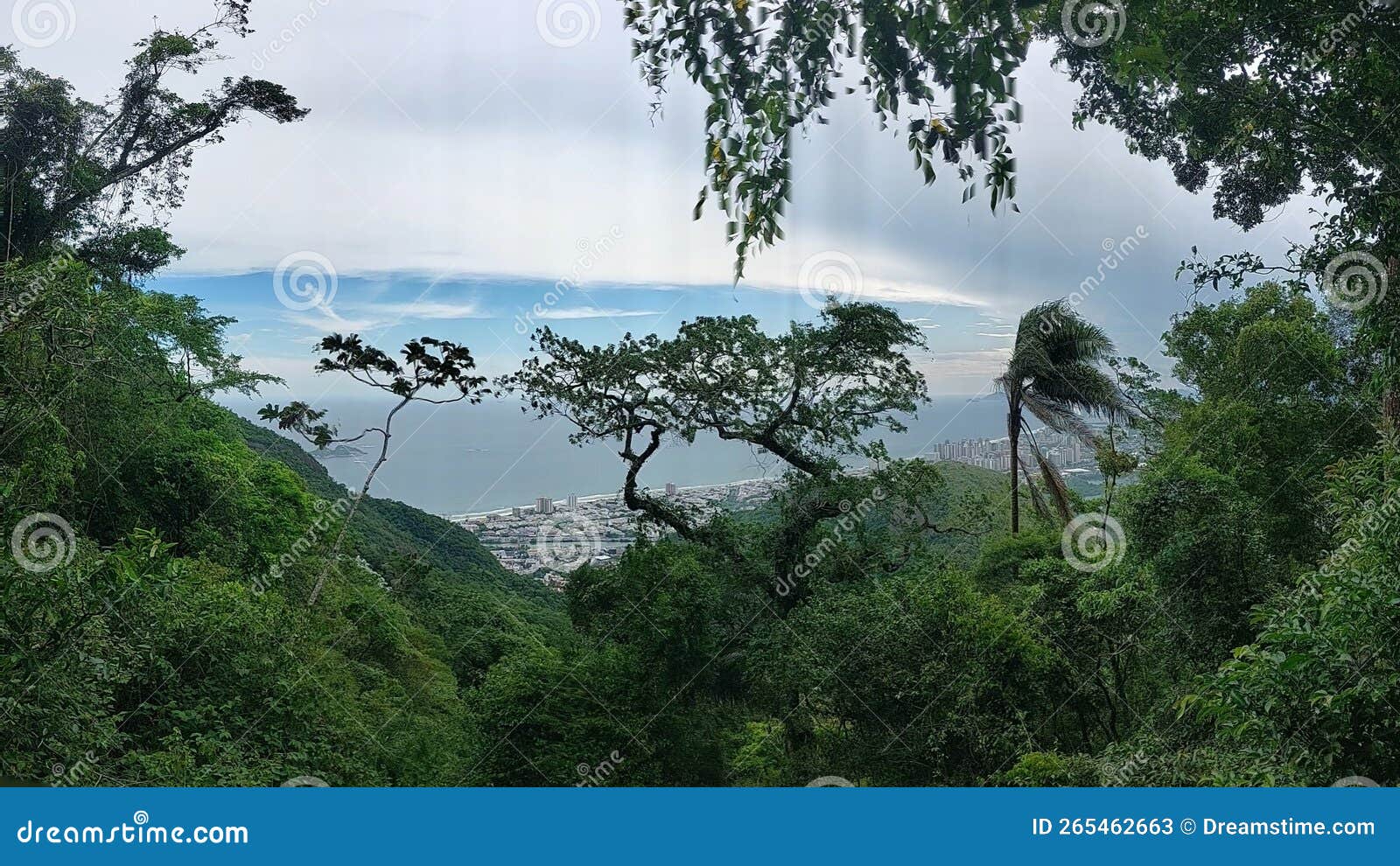 Jungle Ocean View Trekking Nature Rainforest Stock Image - Image of ...