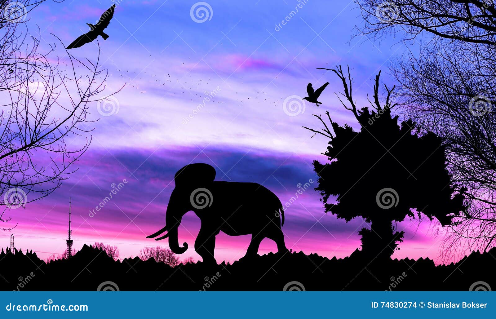 Jungle with Old Tree, Birds and Elephant on Purple Cloudy Sunset Stock ...