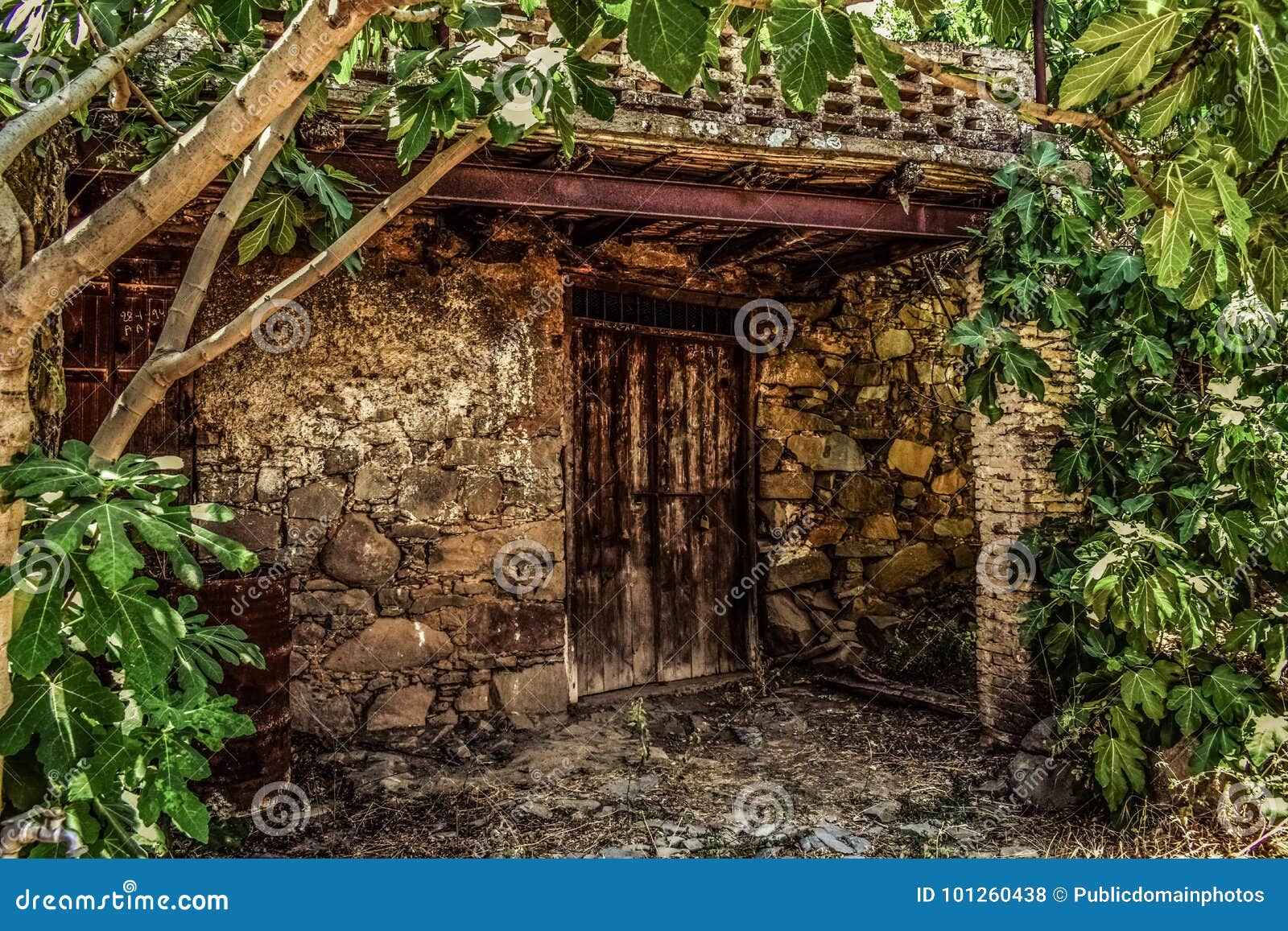 Jungle, Outdoor Structure, Forest, Tree Picture. Image: 101260438