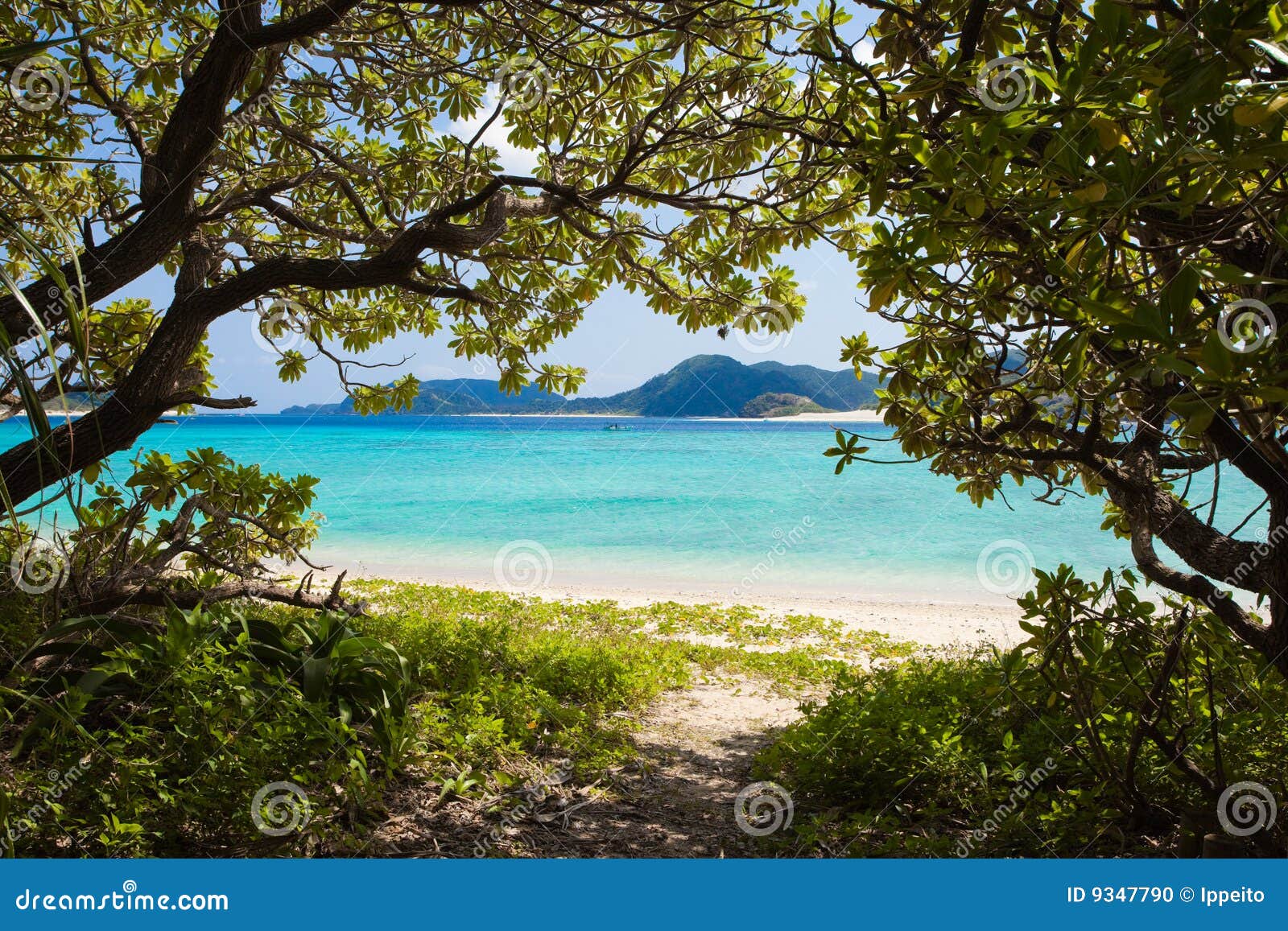 Jungle Path To the Paradise Beach Stock Photo - Image of horizontal ...