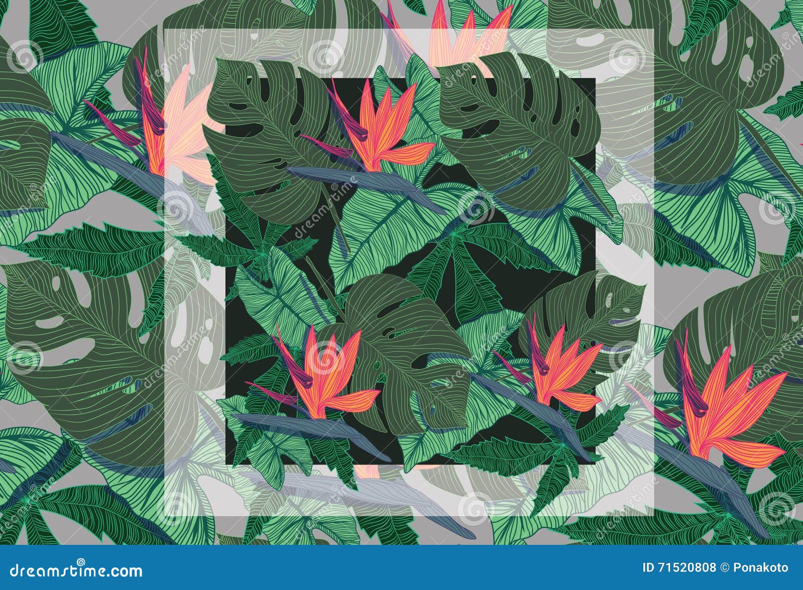 Jungle pattern stock vector. Illustration of full, book - 71520808