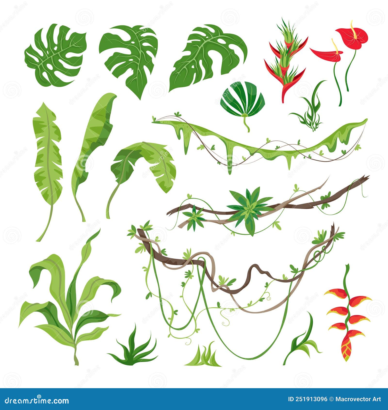 Jungle Plants Set stock vector. Illustration of beauty - 251913096