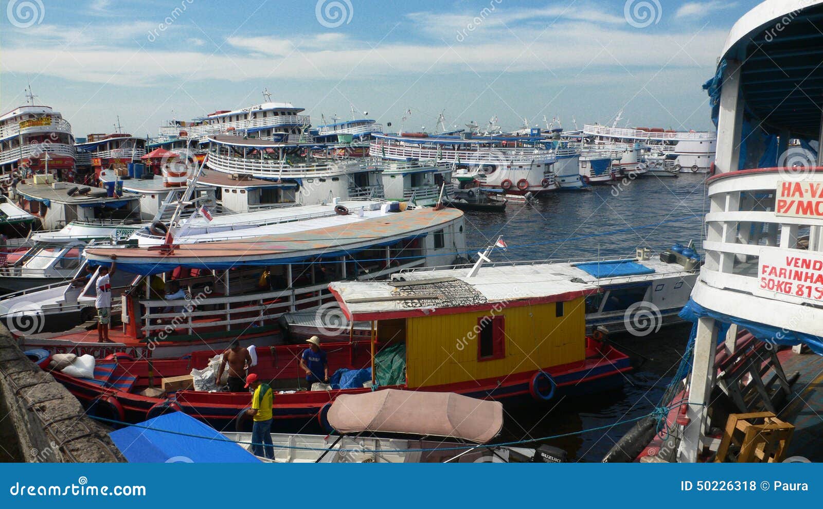 Jungle Port editorial stock photo. Image of largest, harbor - 50226318